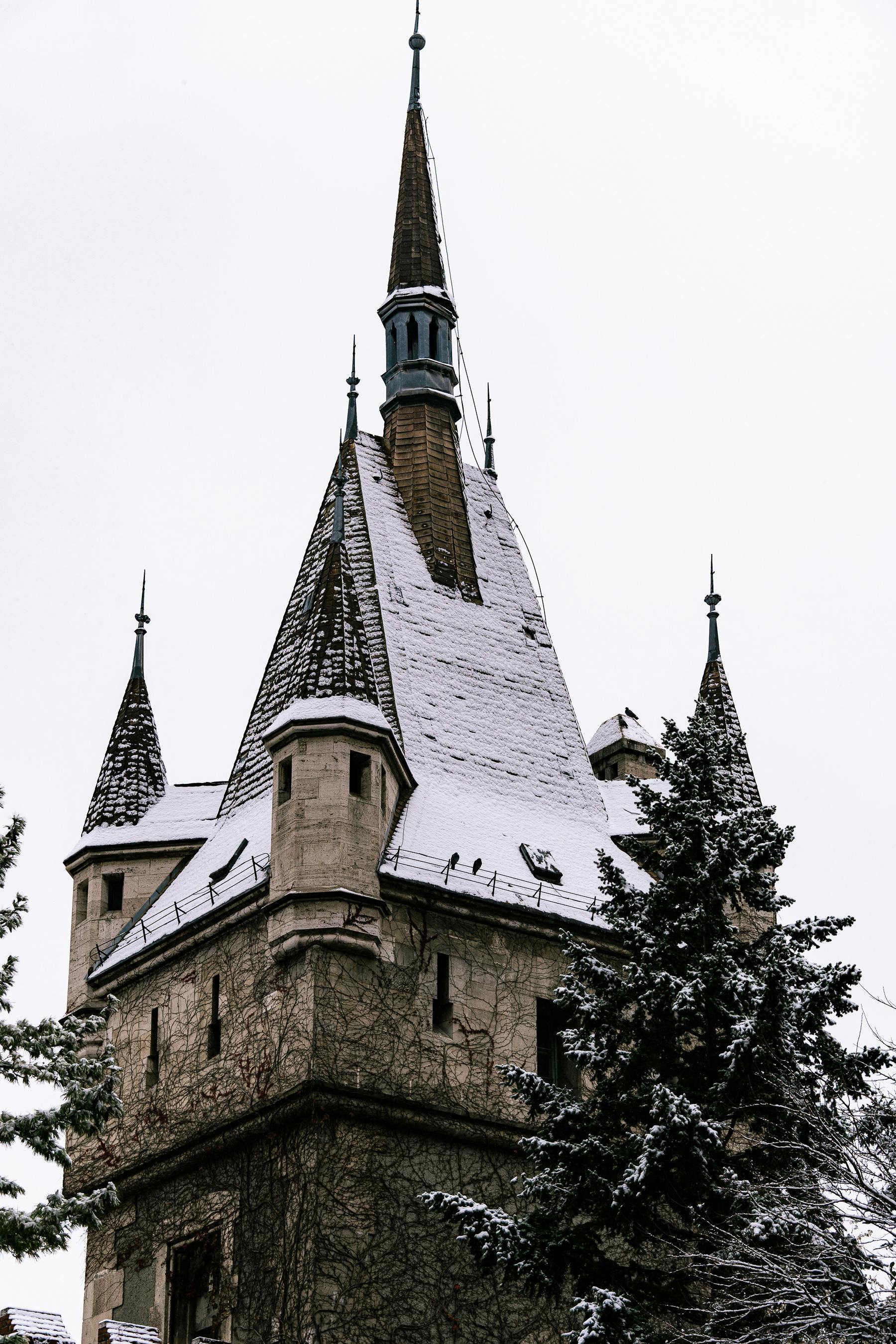 Facade of the Lahori Gate in Red Fort in Delhi, India · Free Stock Photo