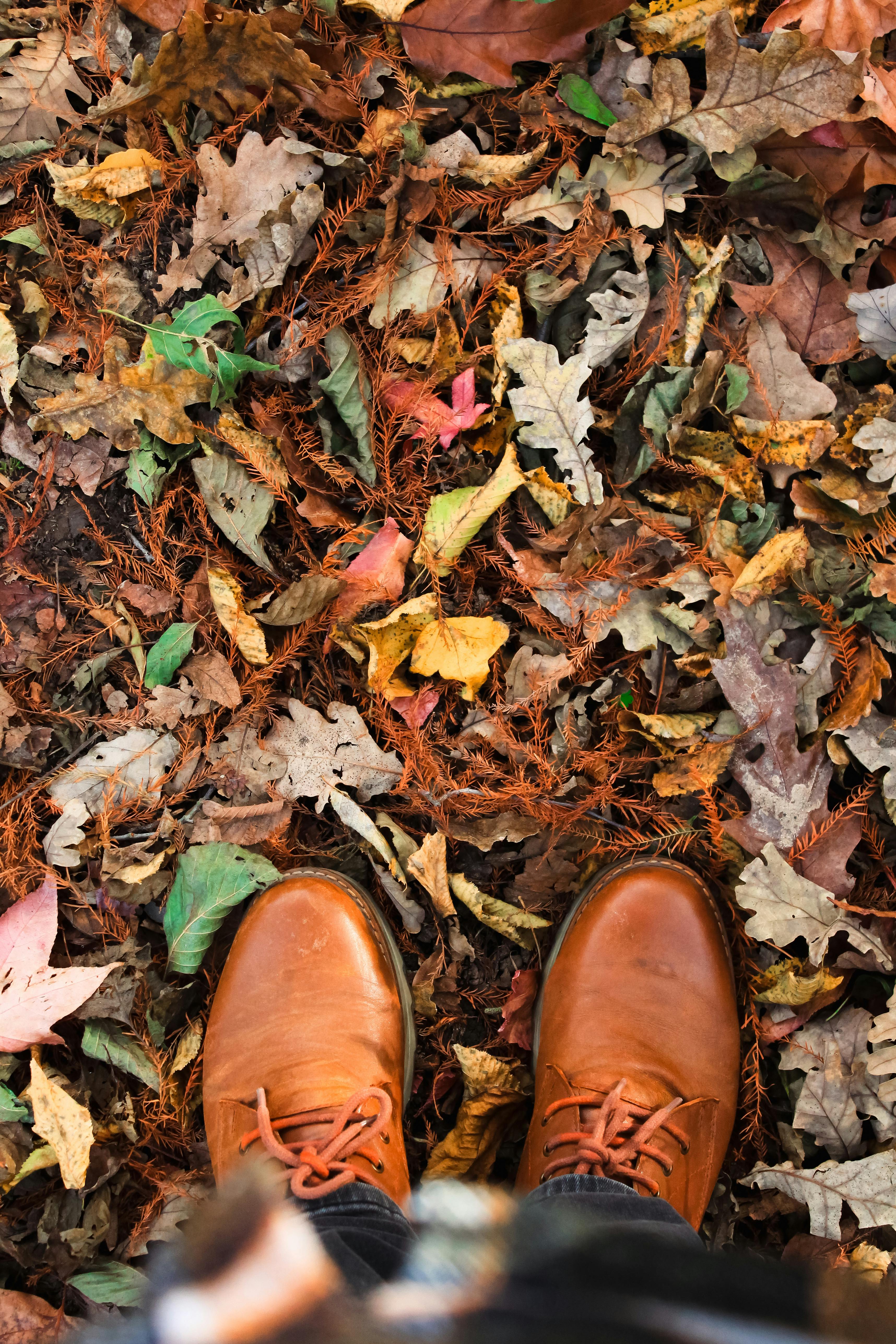 Shoes on Autumn Leaves · Free Stock Photo