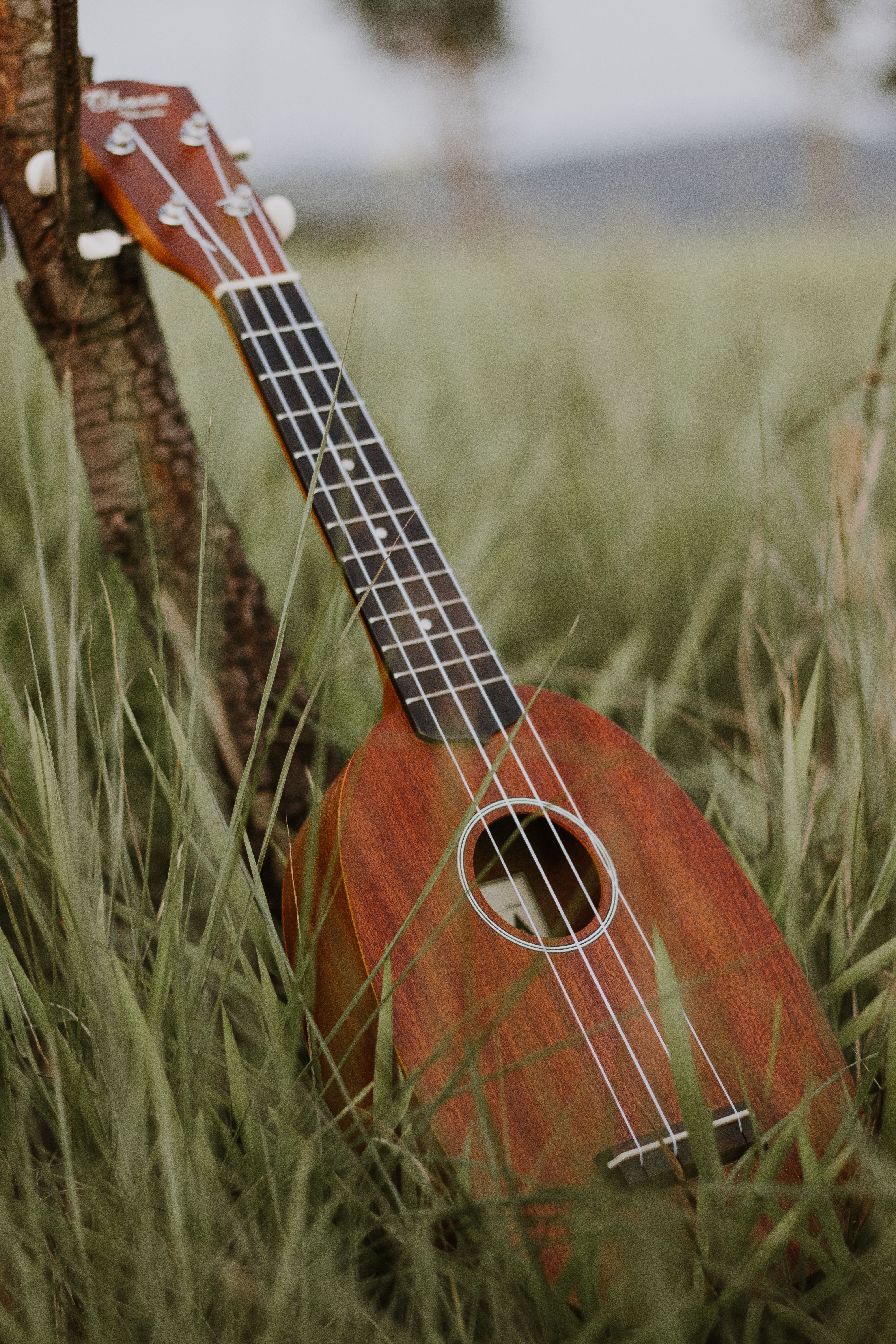 Ukulele Spieler Photos, Download The BEST Free Ukulele Spieler Stock ...