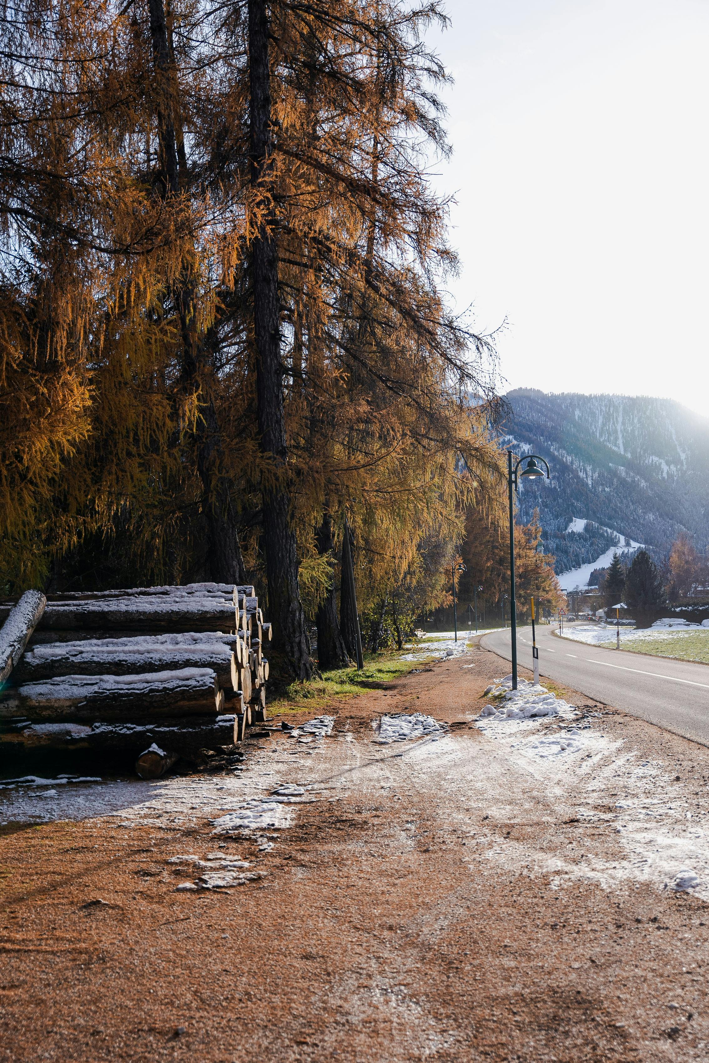 Snow on Timber by Road · Free Stock Photo