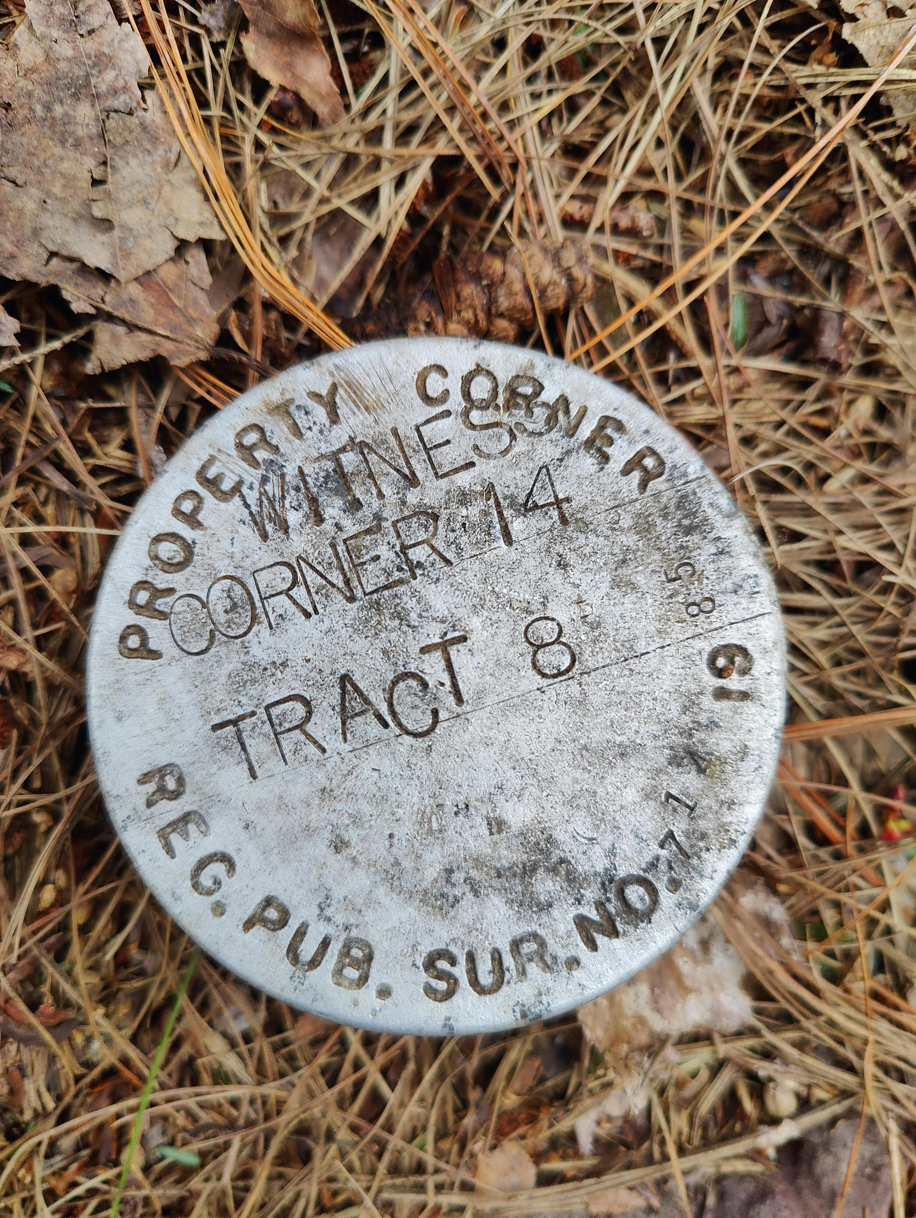 Roger Hunter - Fotografía