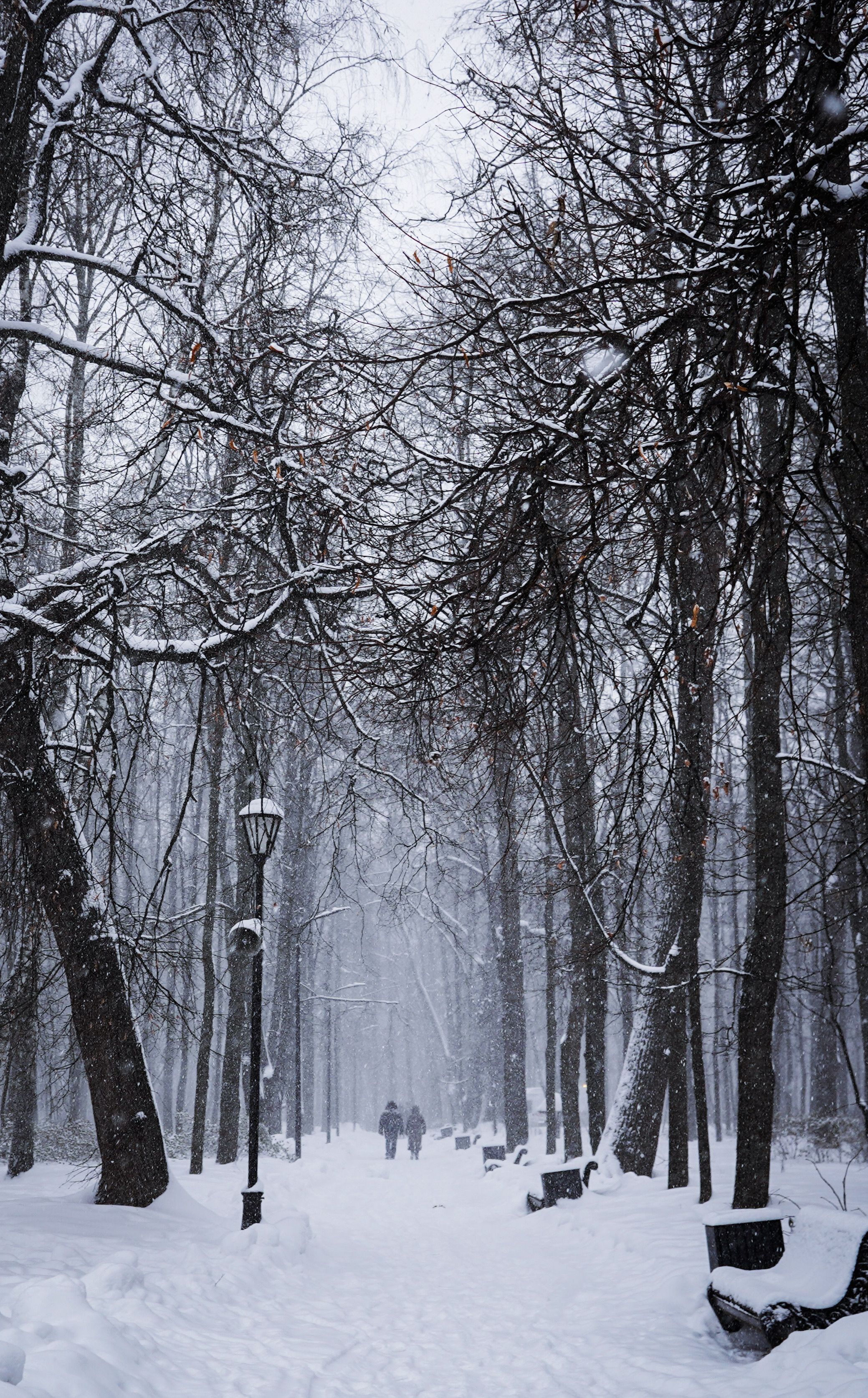 Snowing Park Wallpapers A Snowy Morning In Kobe Terrace Park