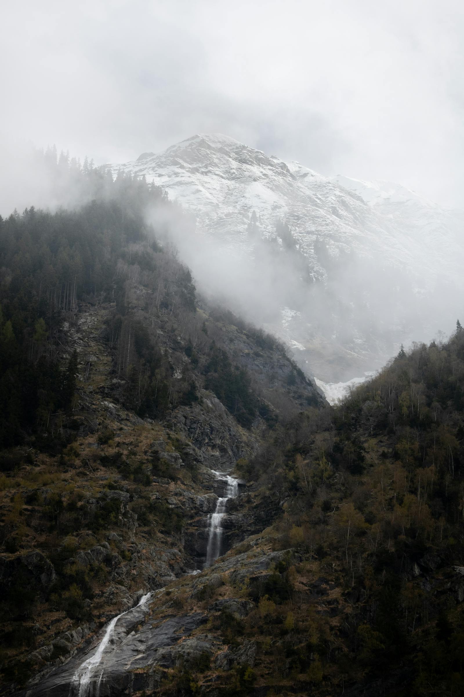 Free Animated Waterfalls Wallpaper Photos, Download The BEST Free Free ...