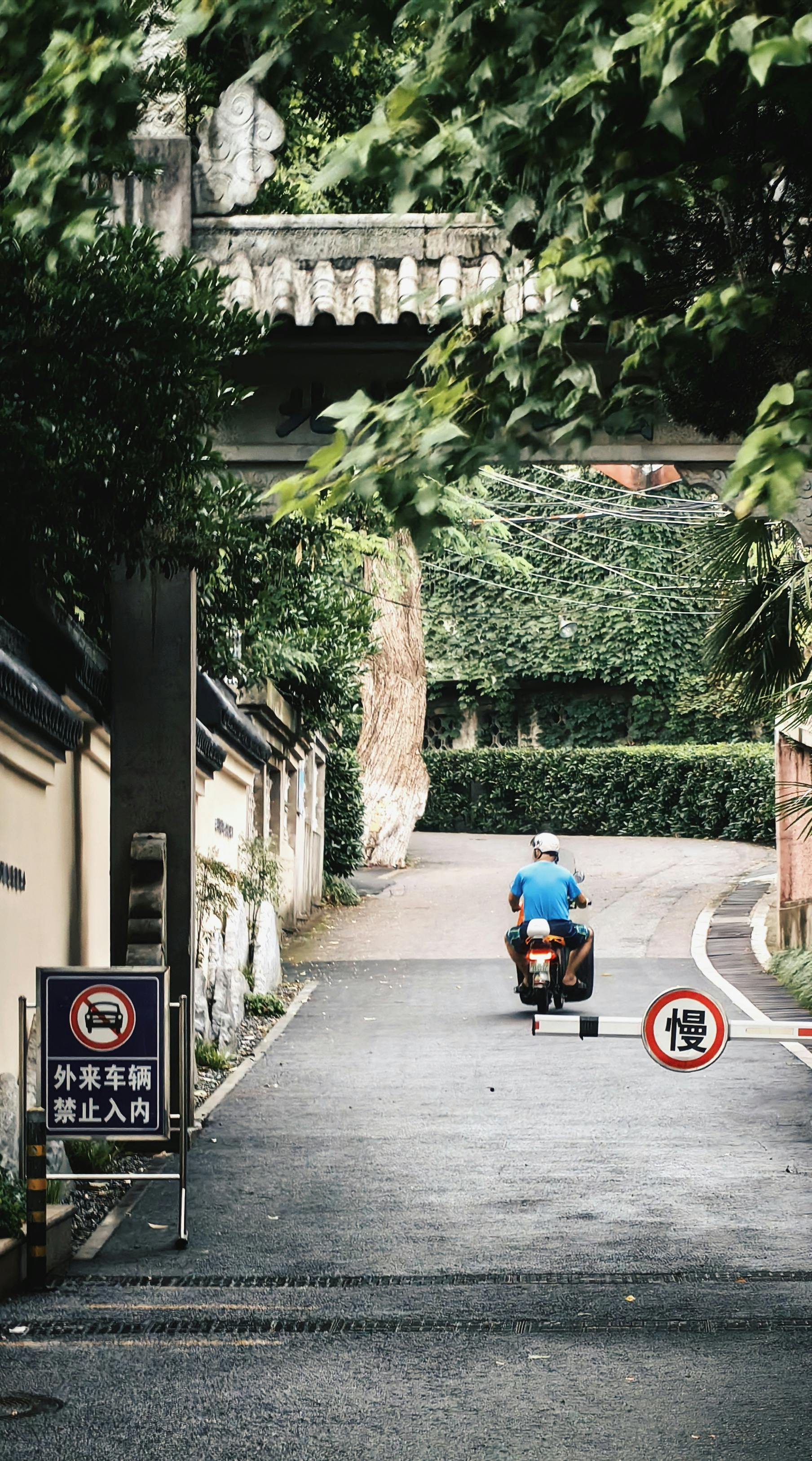 Man Riding Horse Cart on Street · Free Stock Photo