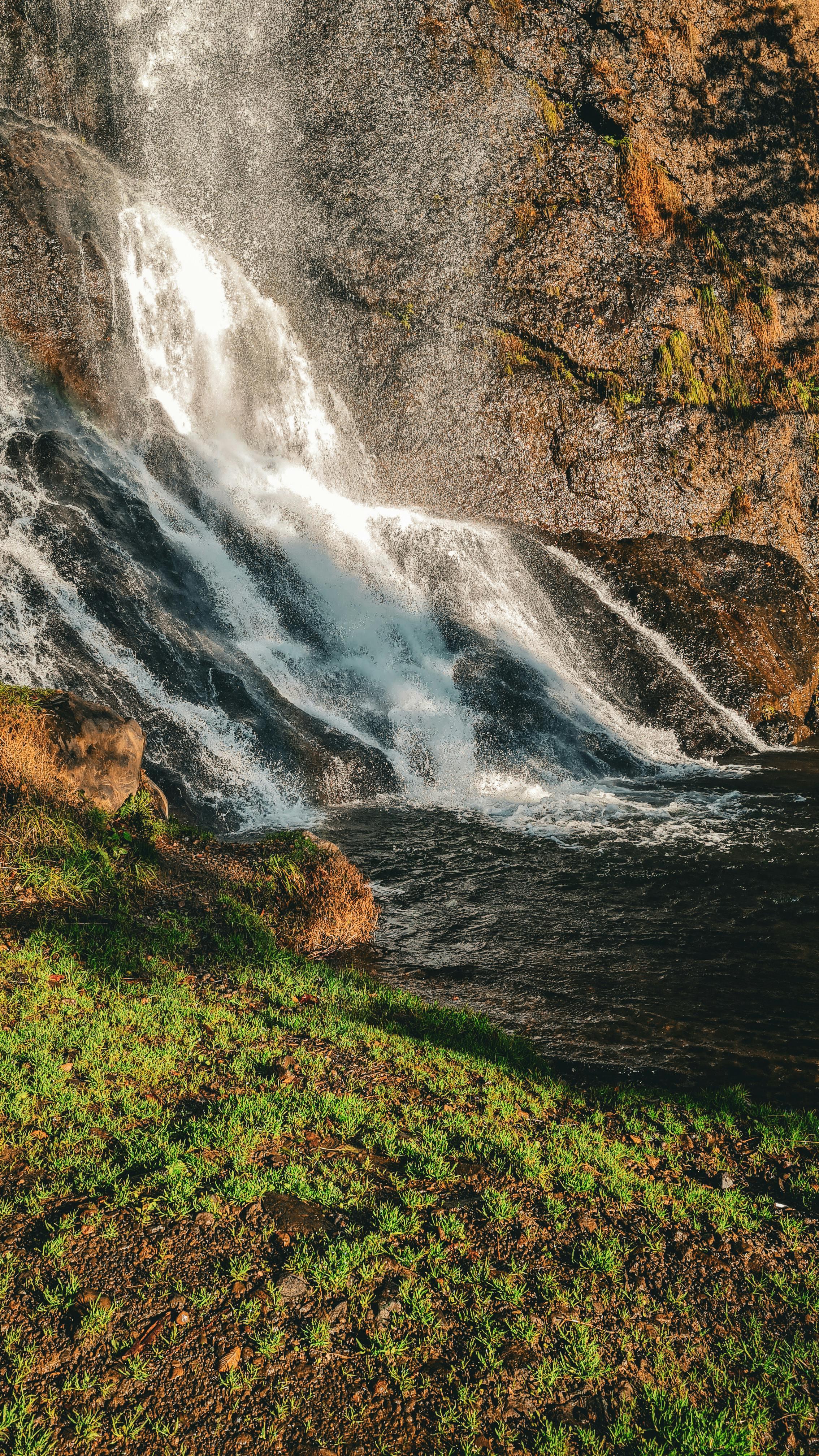 Waterfall on Rocks in Forest · Free Stock Photo