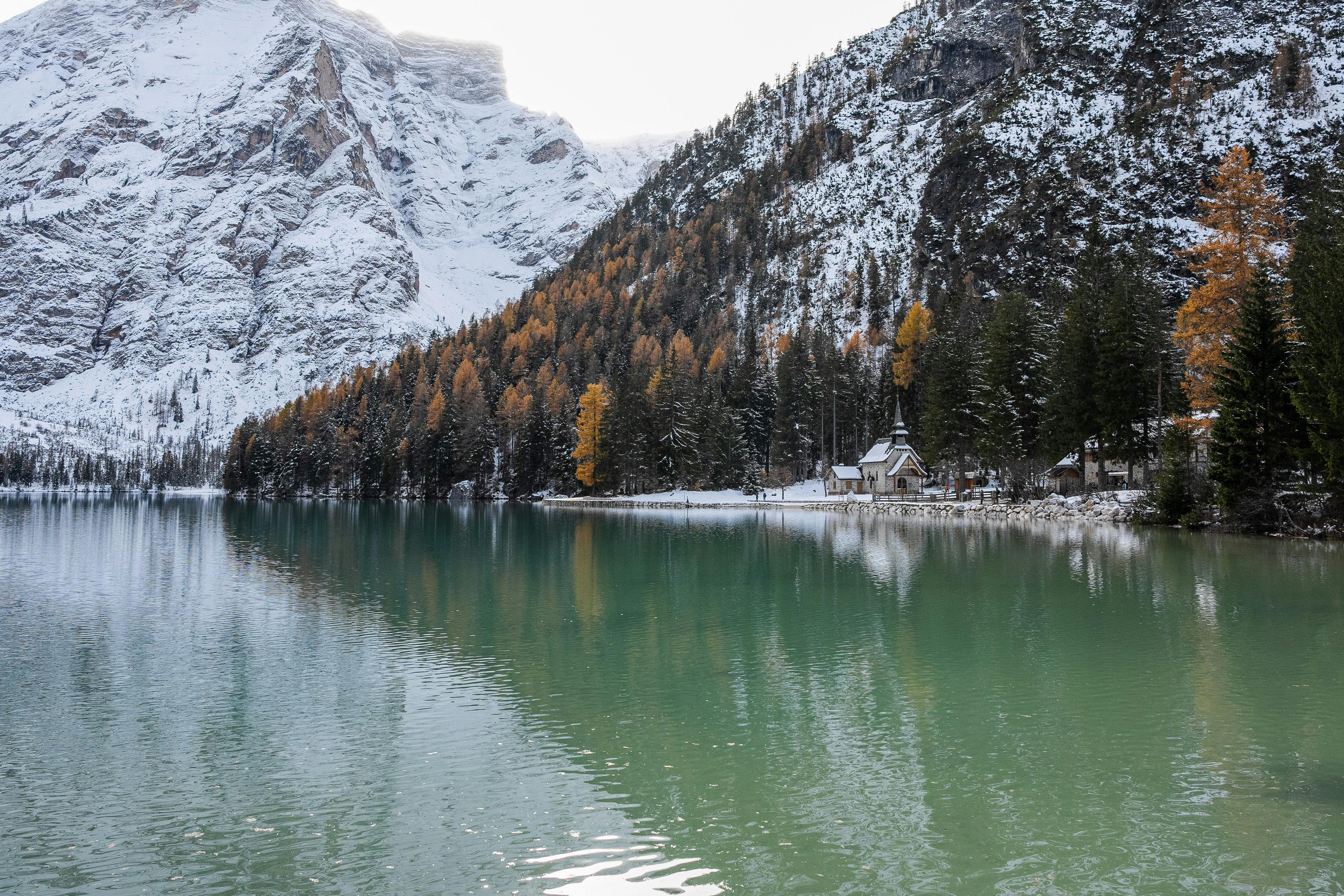 Imagine de stoc gratuită cu apă curgătoare, ape calme, arbori veșnic ...
