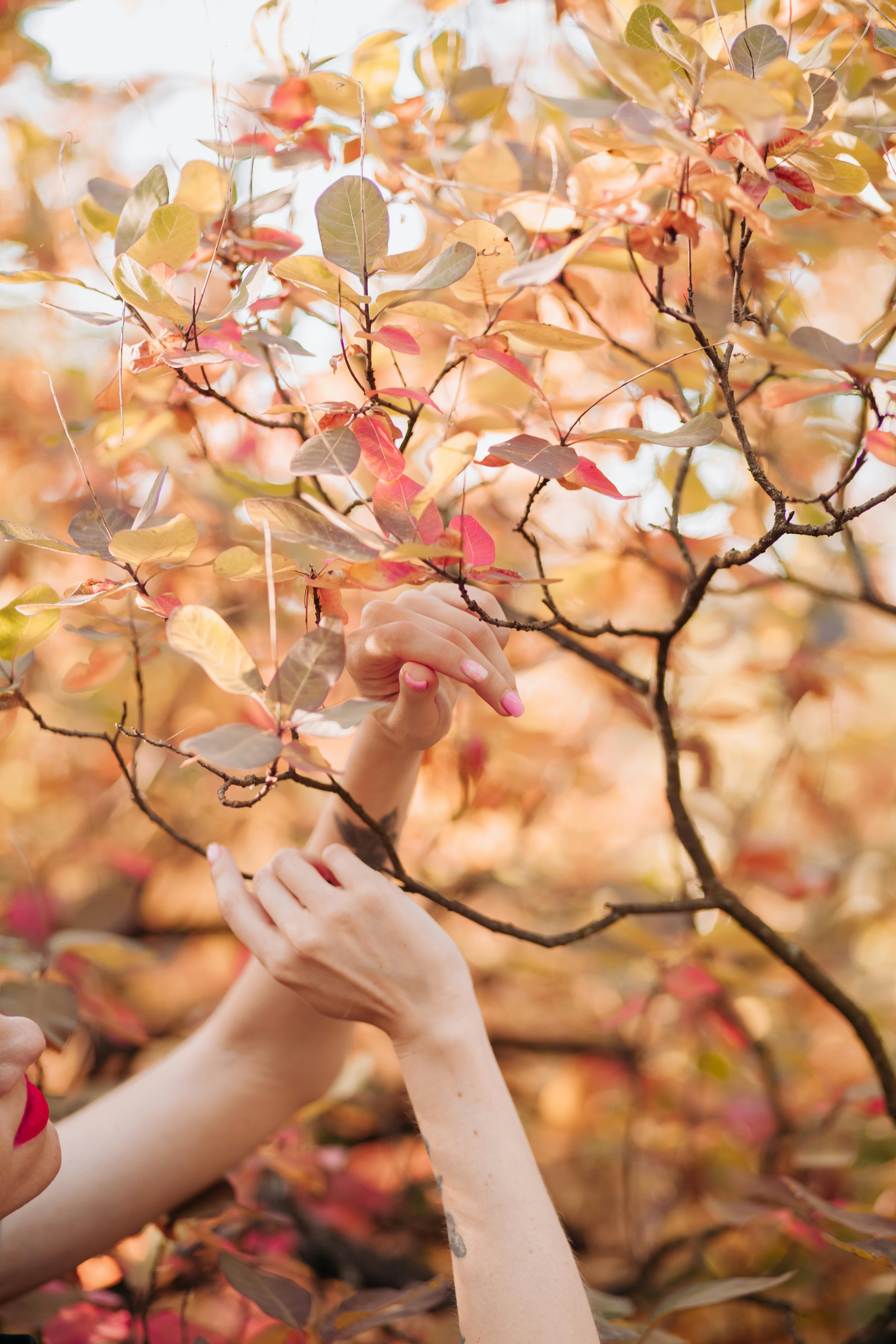 Foto de stock gratuita sobre @al aire libre, adobe photoshop, al aire ...