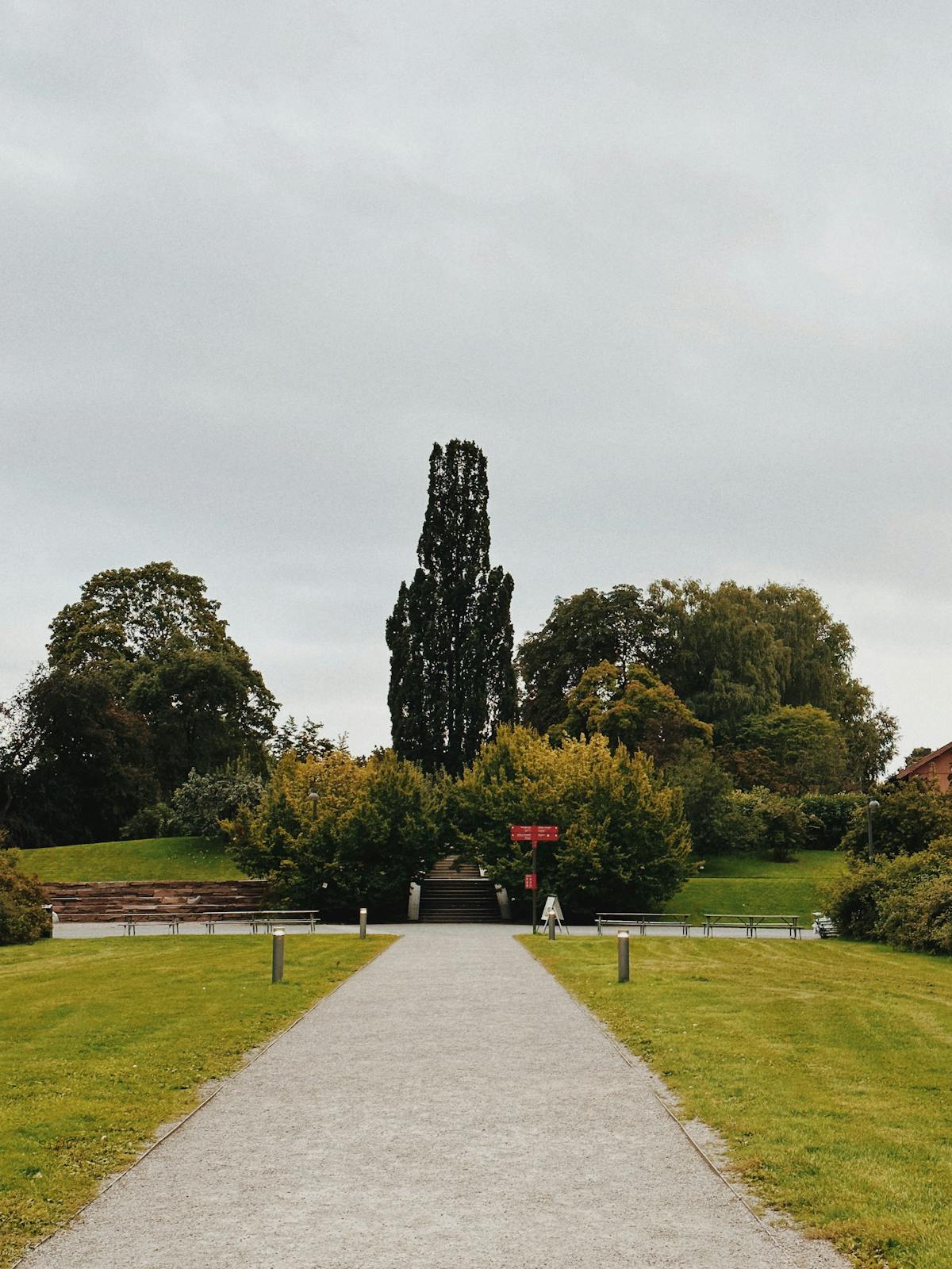 Shrubs Photos, Download The BEST Free Shrubs Stock Photos & HD Images