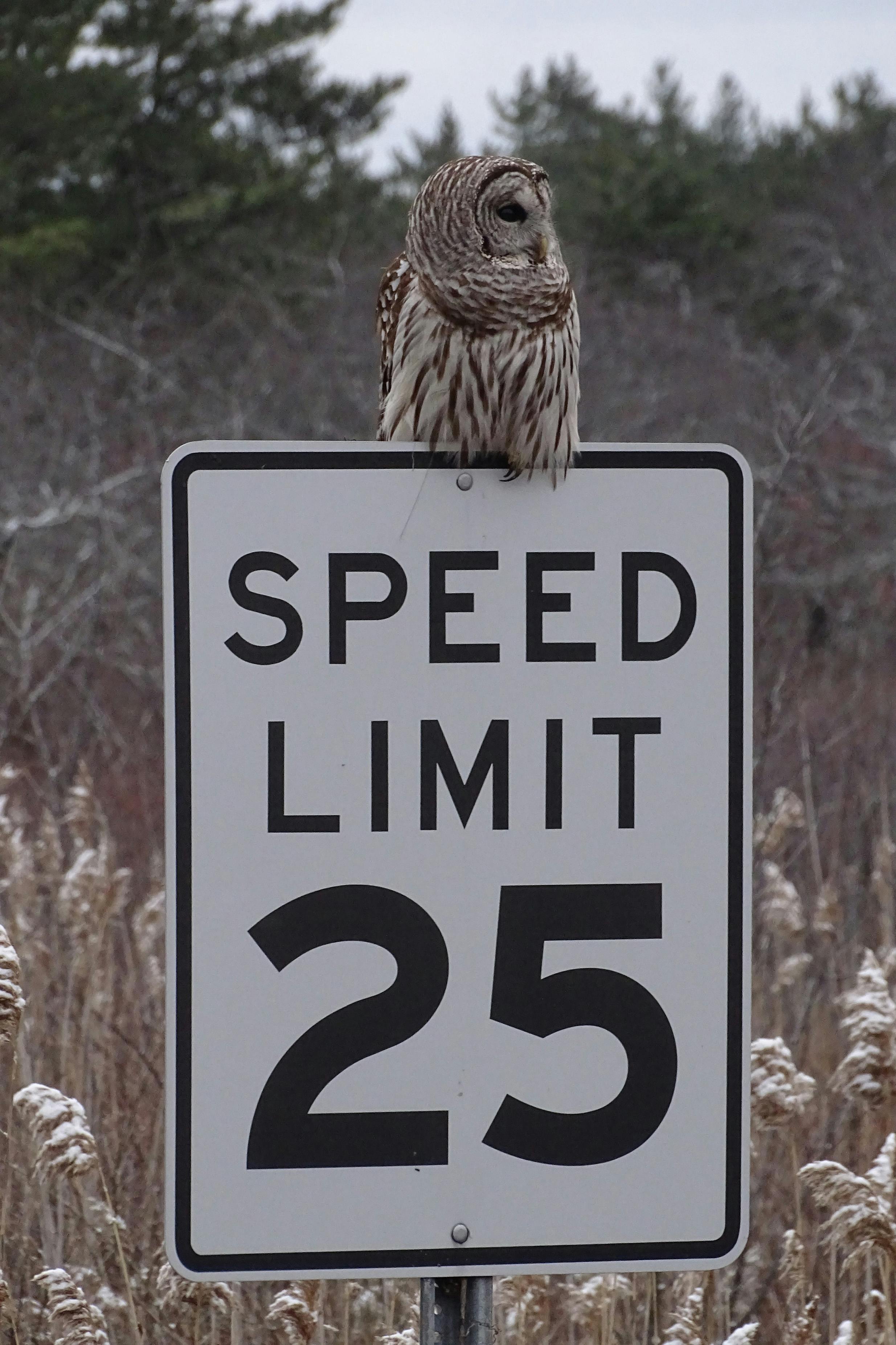 Wildlife Sign Photos, Download The BEST Free Wildlife Sign Stock Photos ...