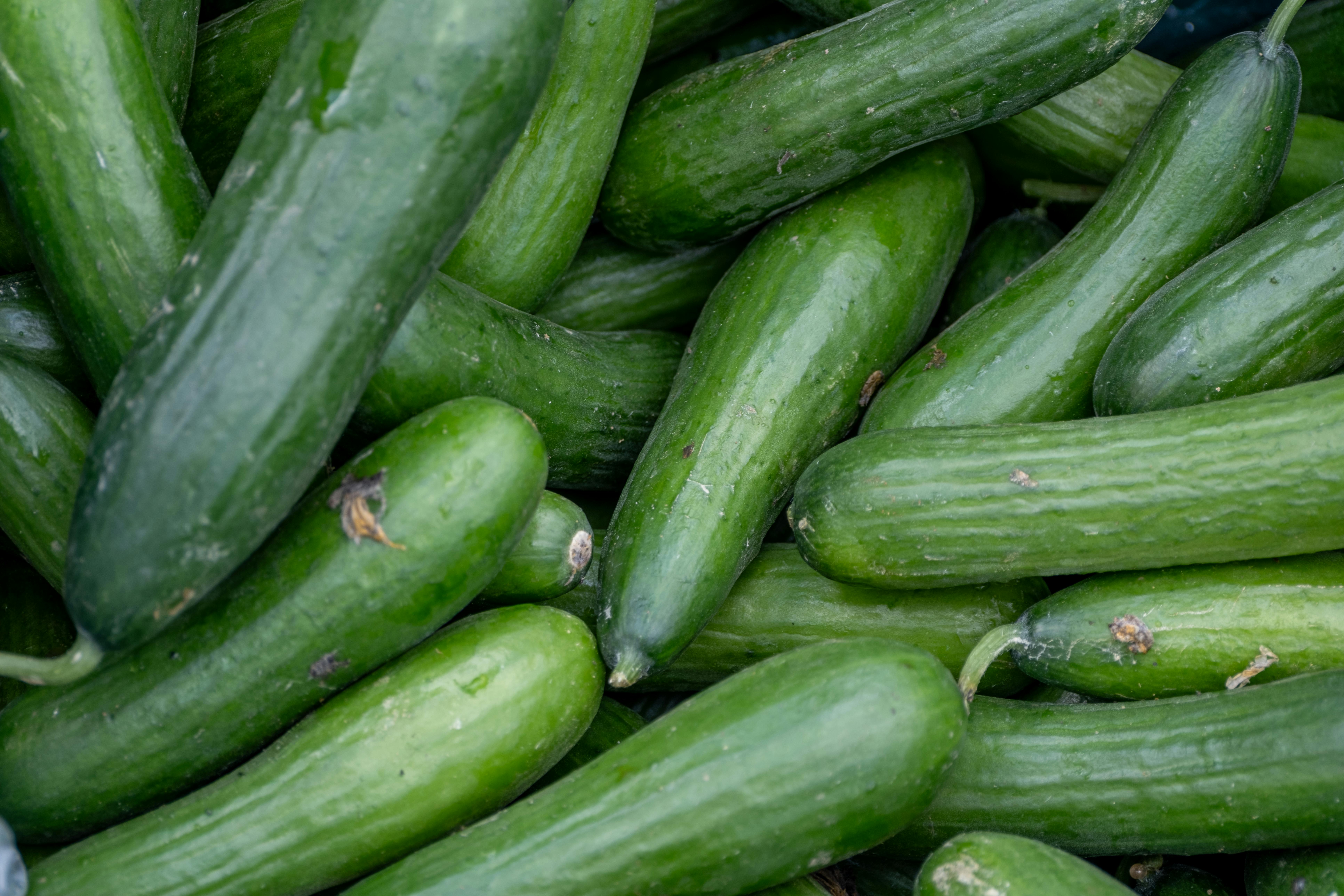 Pile of Cucumbers · Free Stock Photo