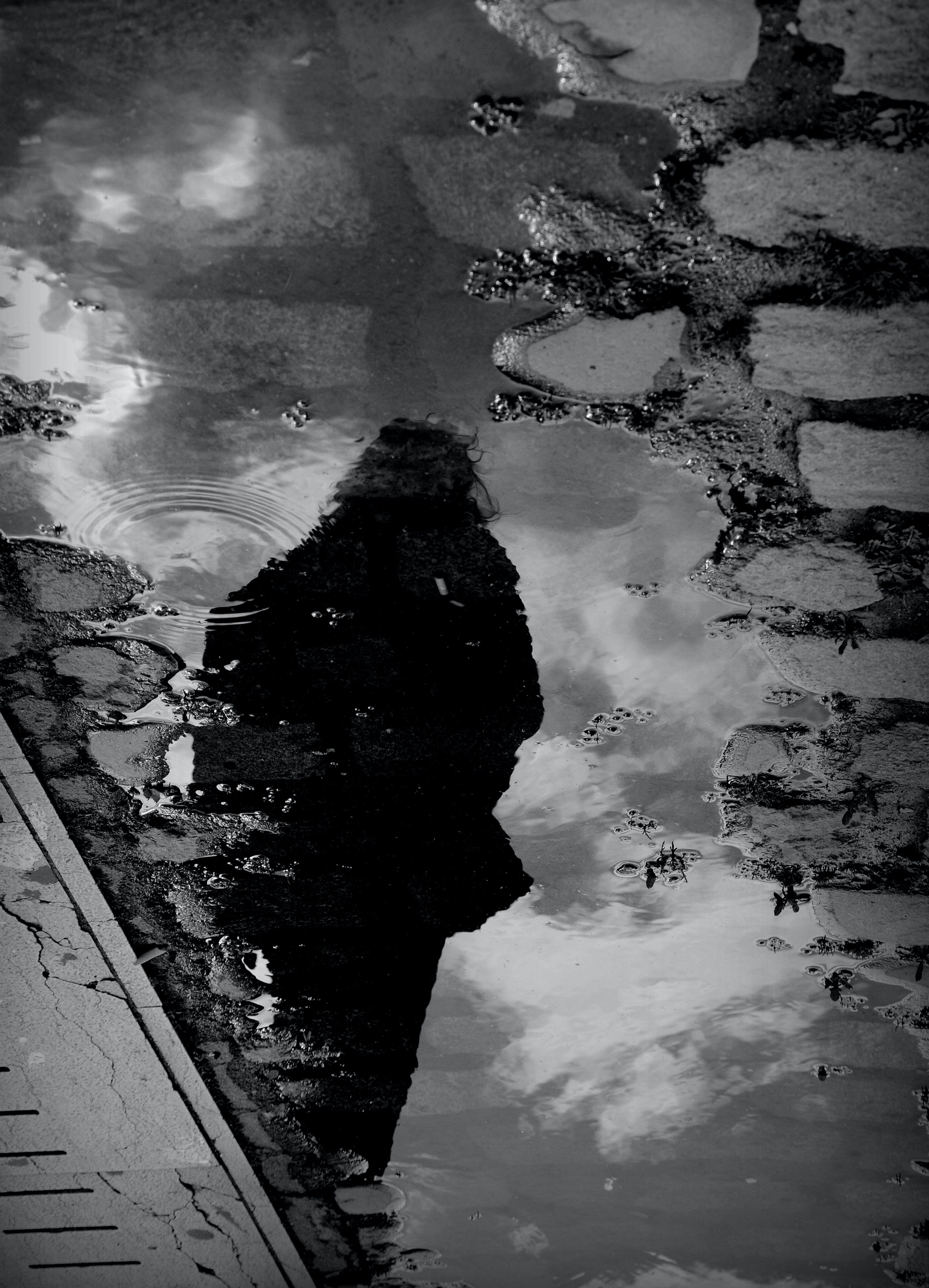 Reflection of a Person in a Puddle · Free Stock Photo