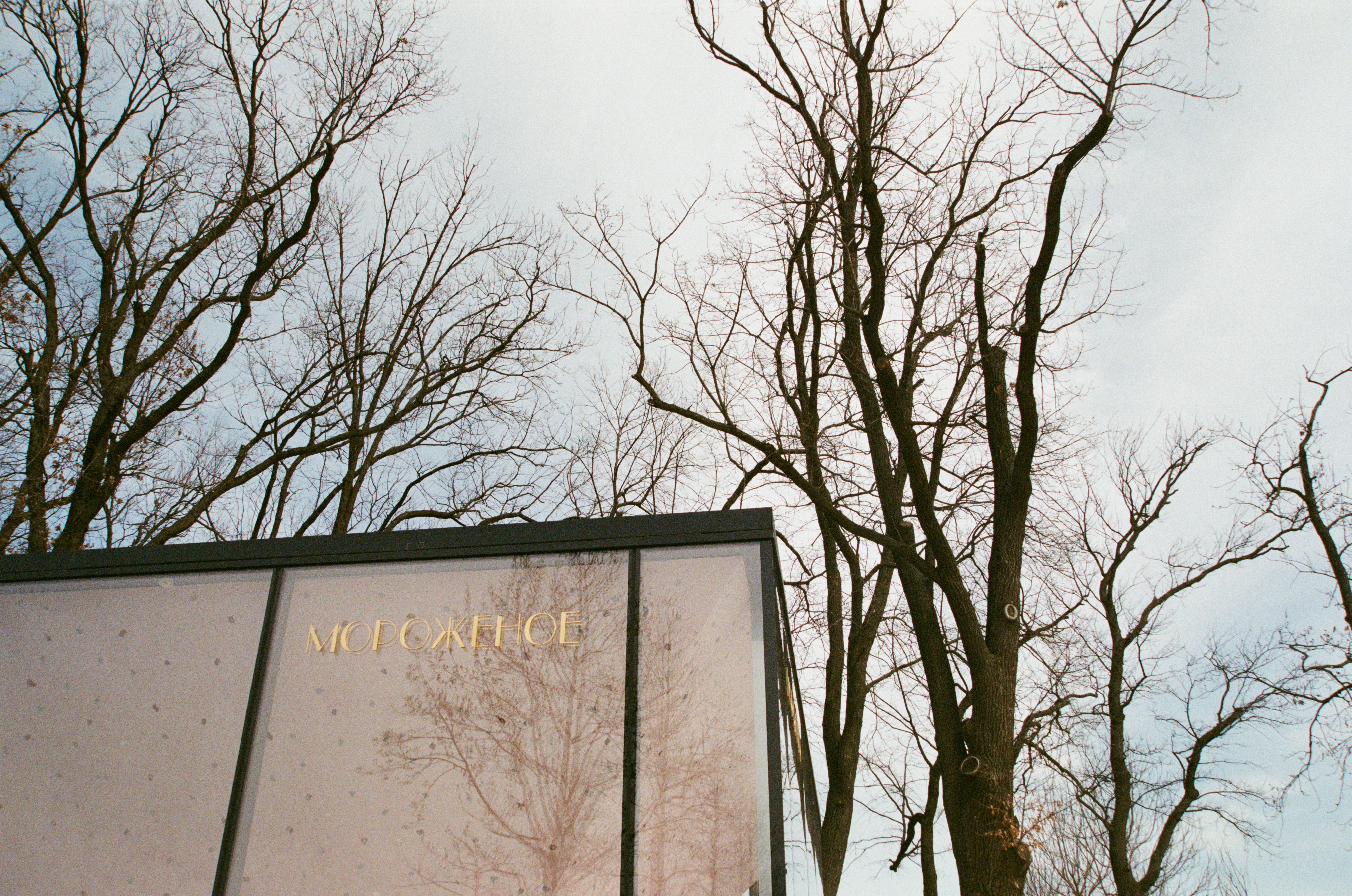 Building Exterior and Trees in Winter · Free Stock Photo