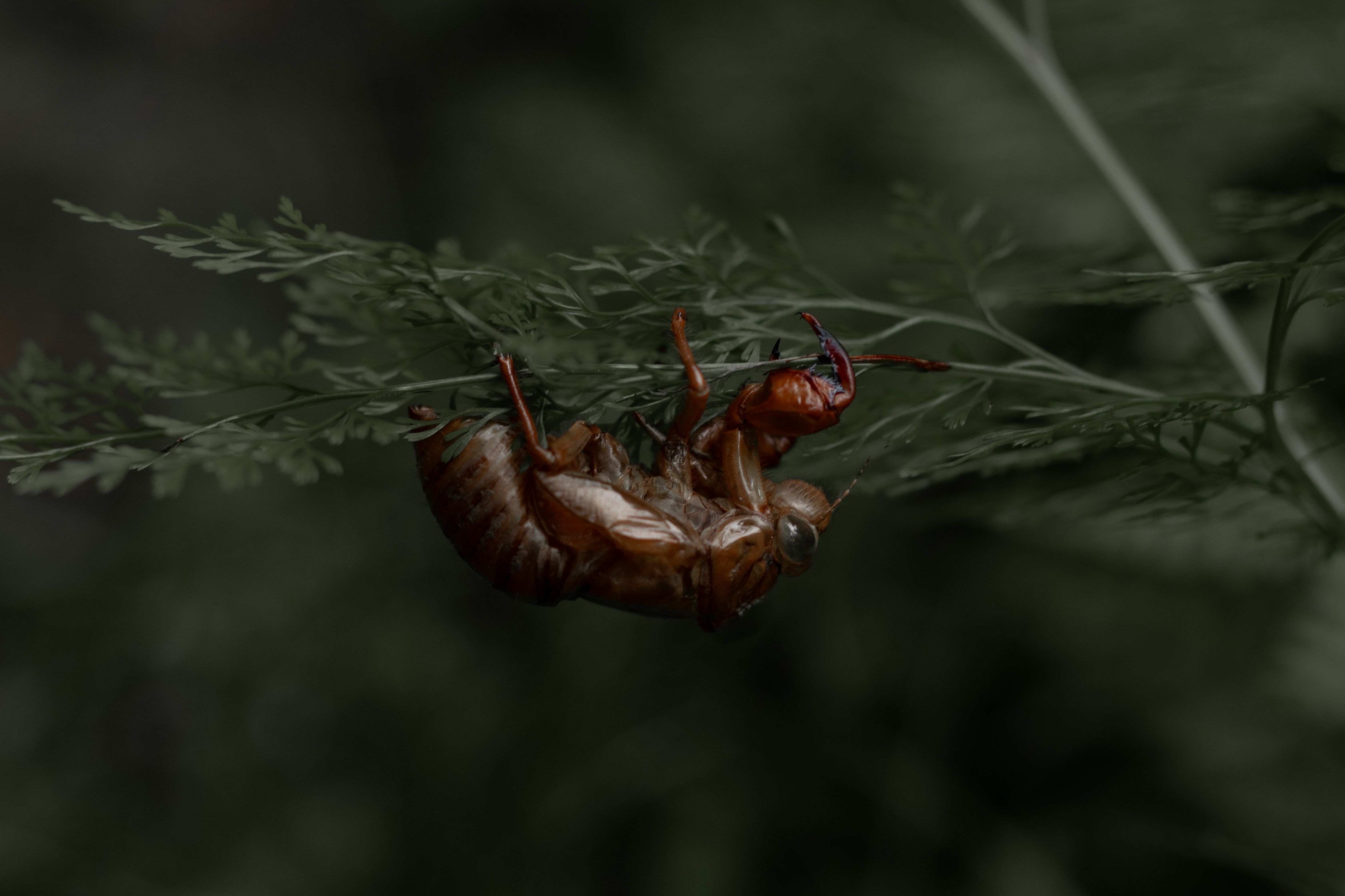 Eerie Pictures Photos, Download The BEST Free Eerie Pictures Stock ...