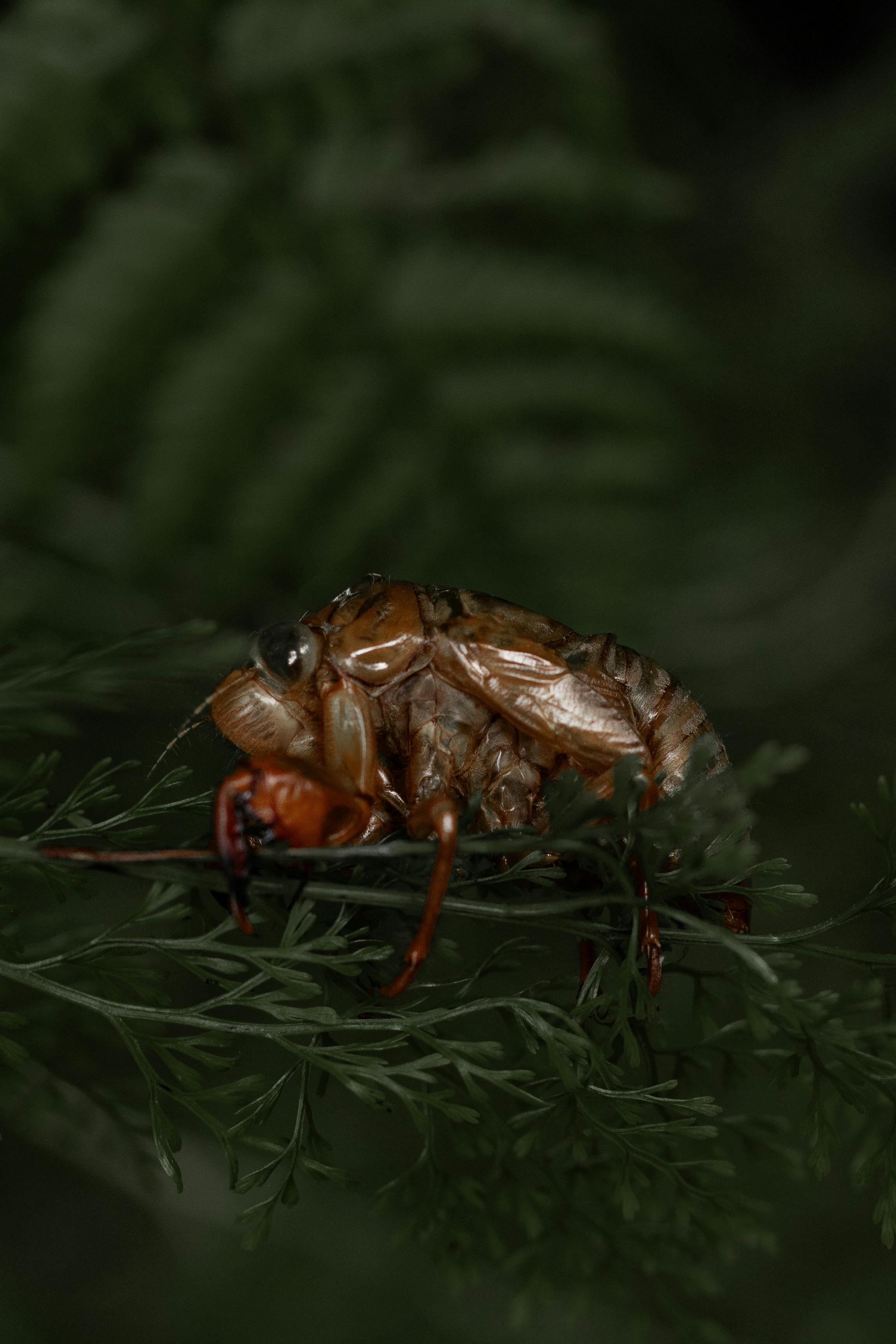 Jacob Gomez Photos, Download The BEST Free Jacob Gomez Stock Photos ...