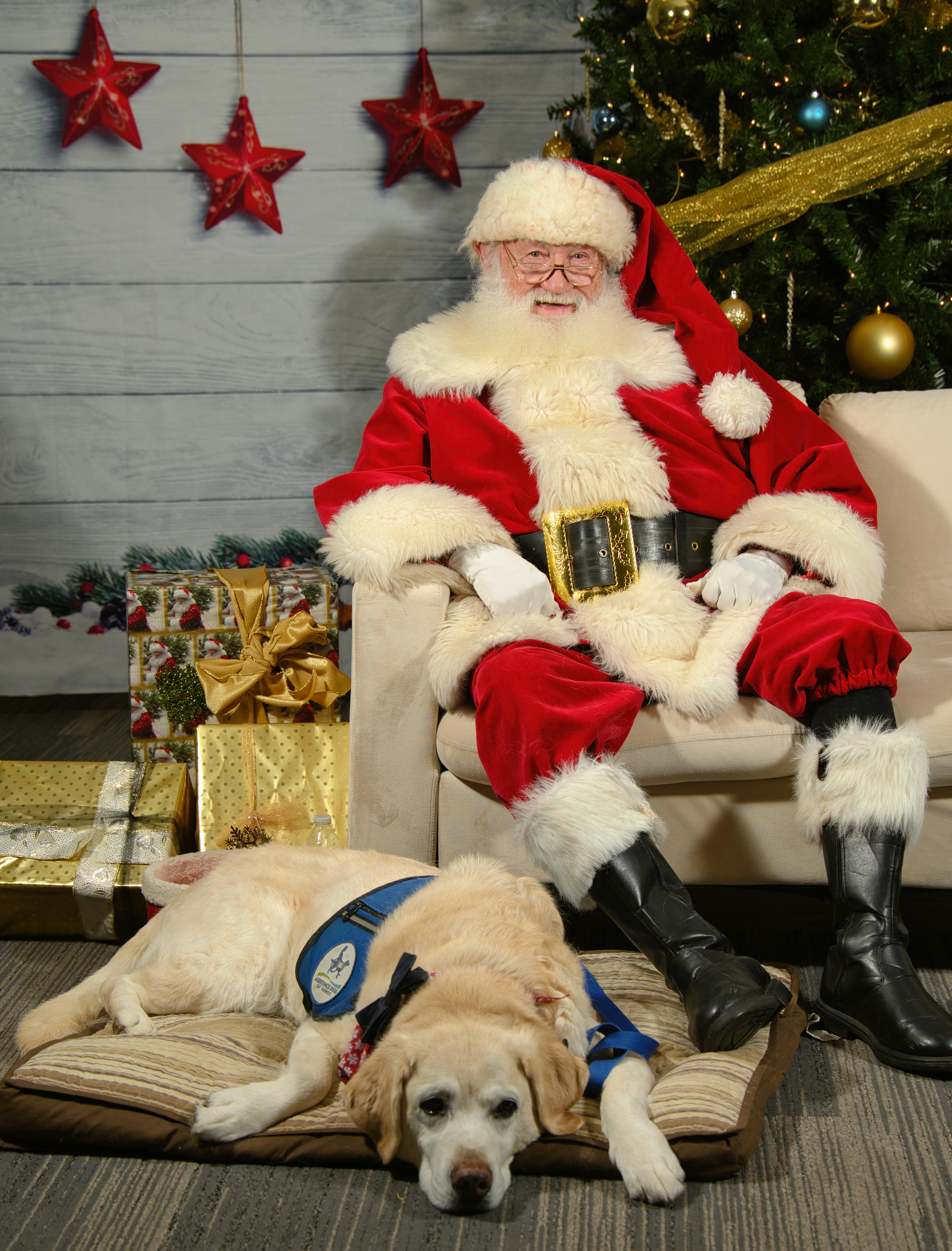 Smiling Santa Claus with Labrador Retriever · Free Stock Photo