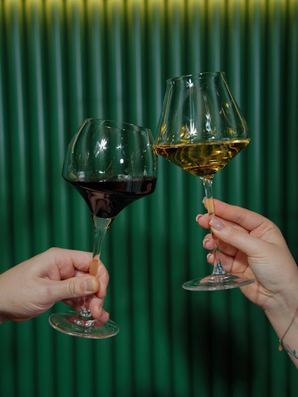 Salmon Wine Photos, Download The BEST Free Salmon Wine Stock Photos ...