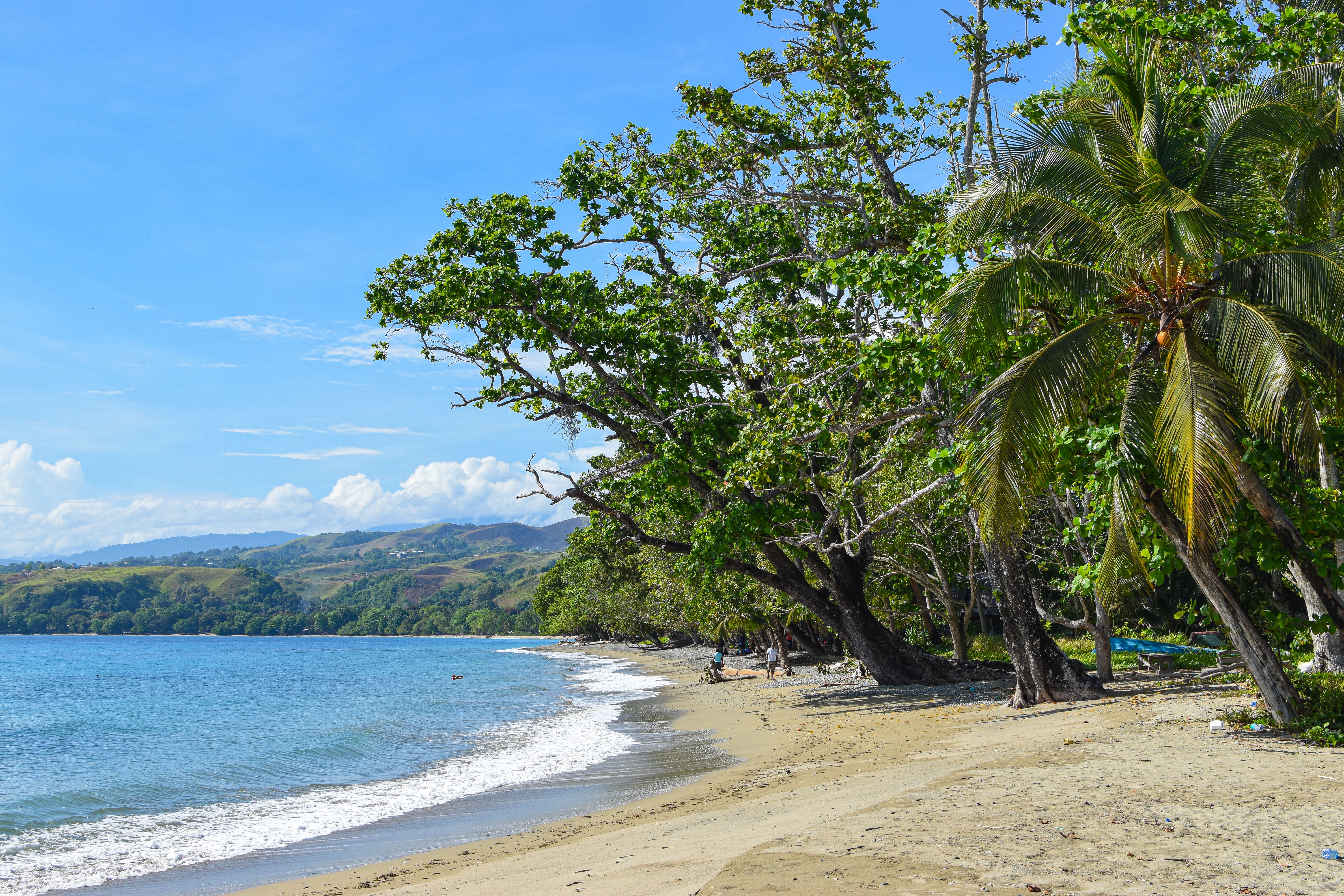 Tropical Beach on Island · Free Stock Photo