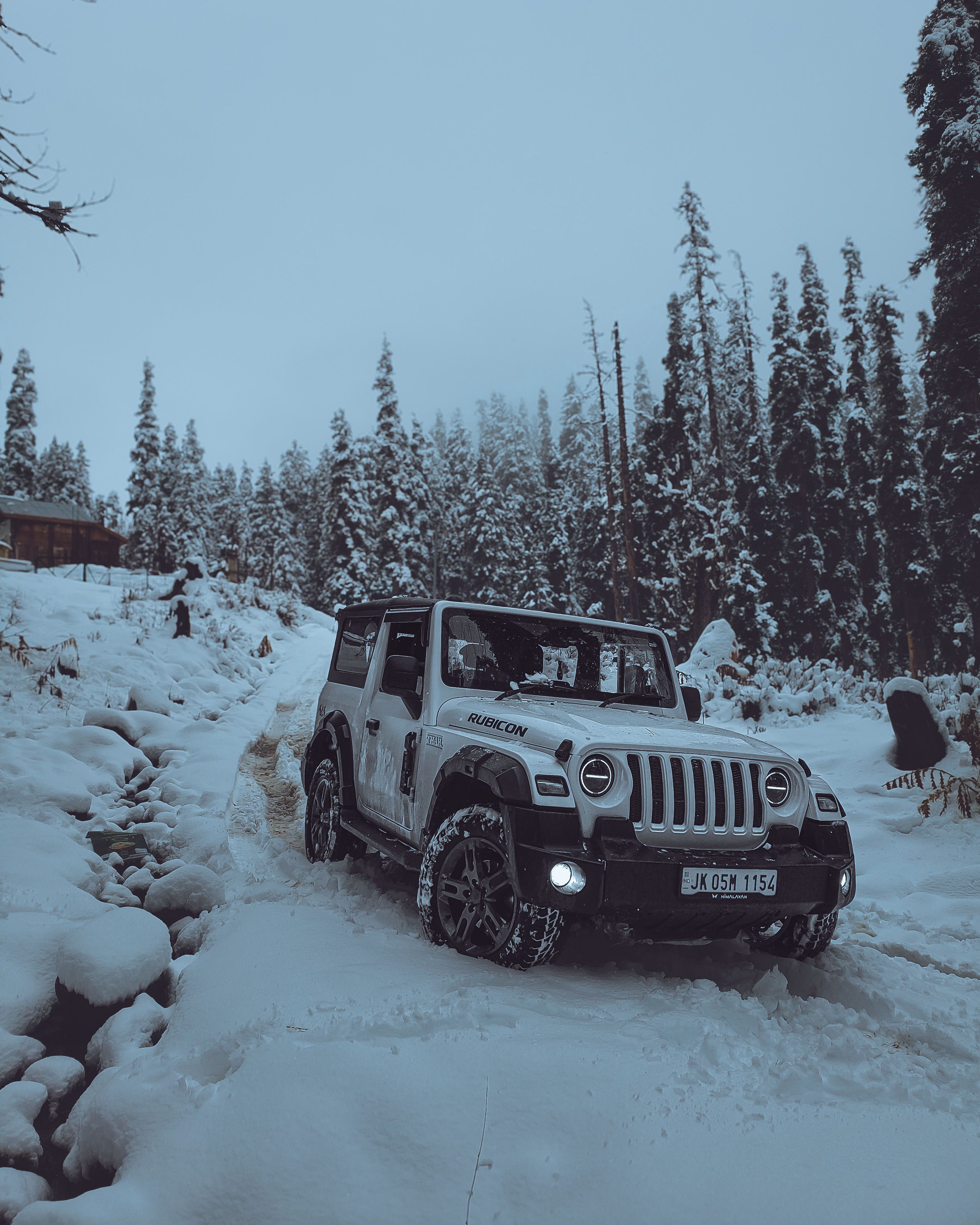 White Terrain Car in a Winter Forest at Dawn · Free Stock Photo