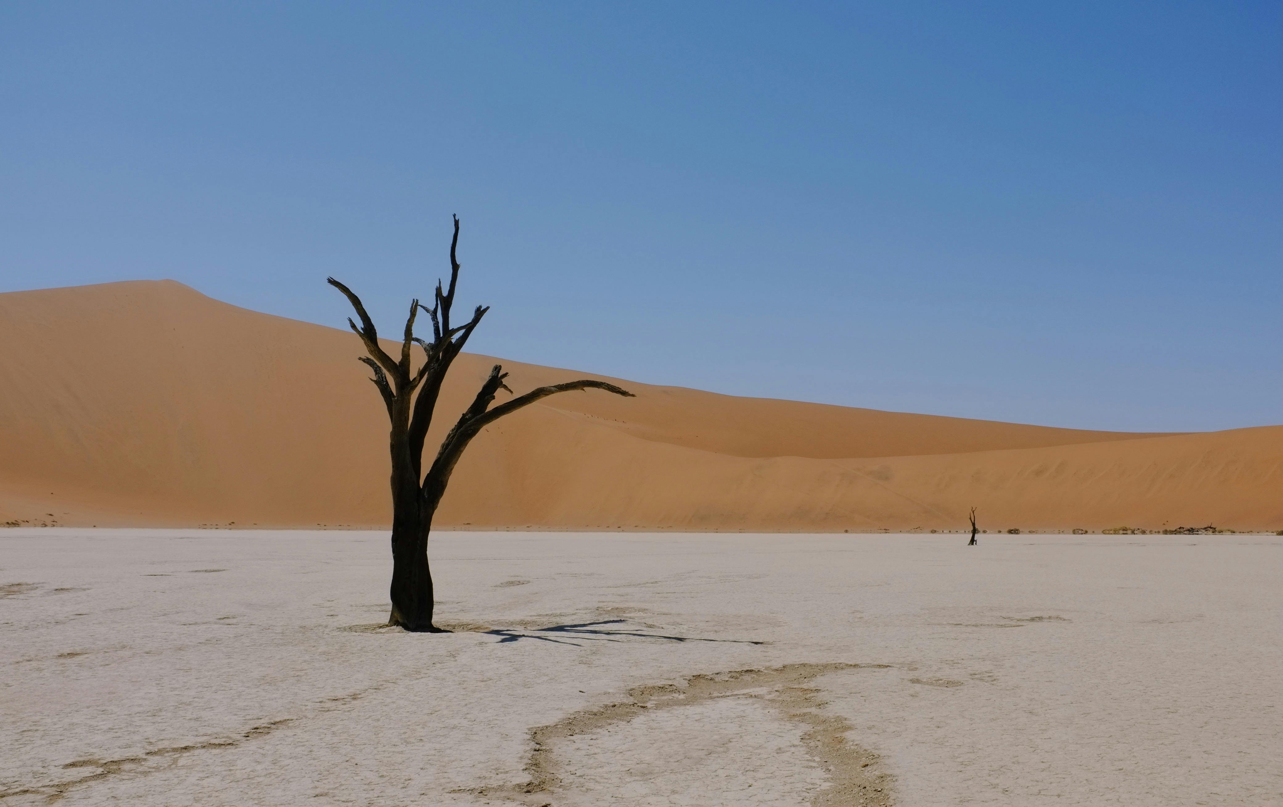 Heat Wave Photos, Download The BEST Free Heat Wave Stock Photos & HD Images