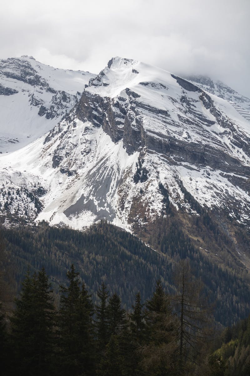 Hd Free Photos, Download The BEST Free Hd Free Stock Photos & HD Images