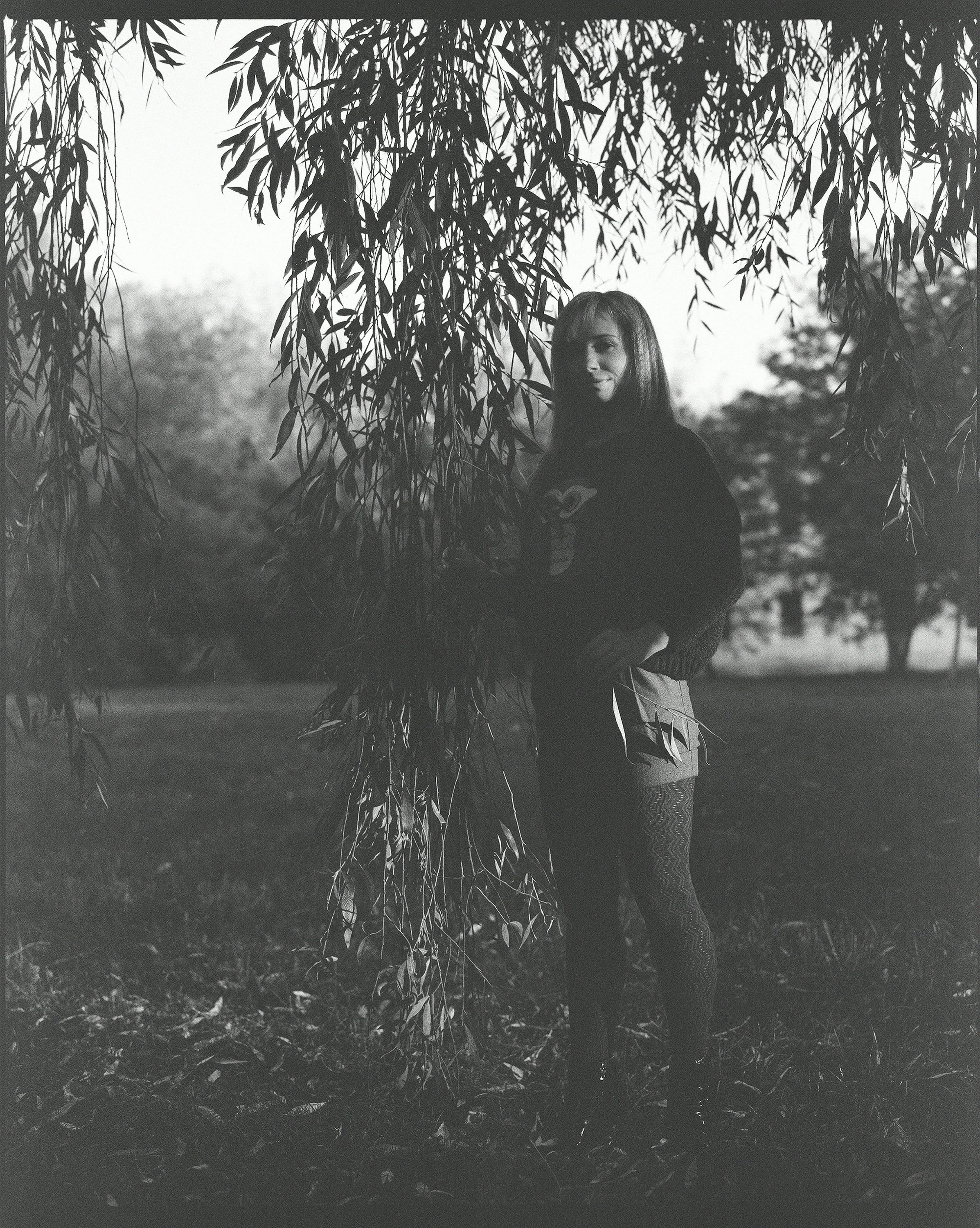 Lashed Willow Photos, Download The BEST Free Lashed Willow Stock Photos ...