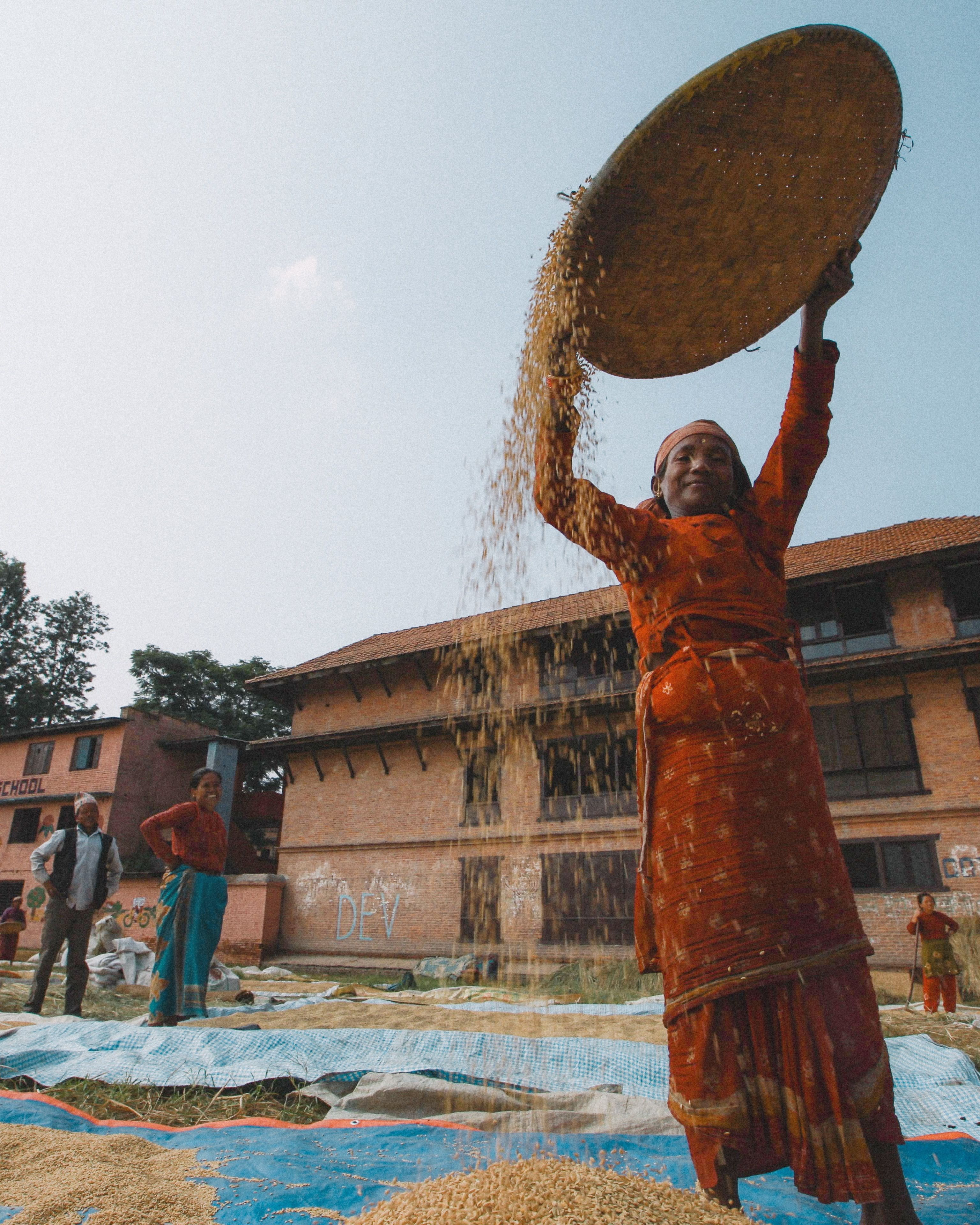Pouring Rice Photos, Download The BEST Free Pouring Rice Stock Photos ...