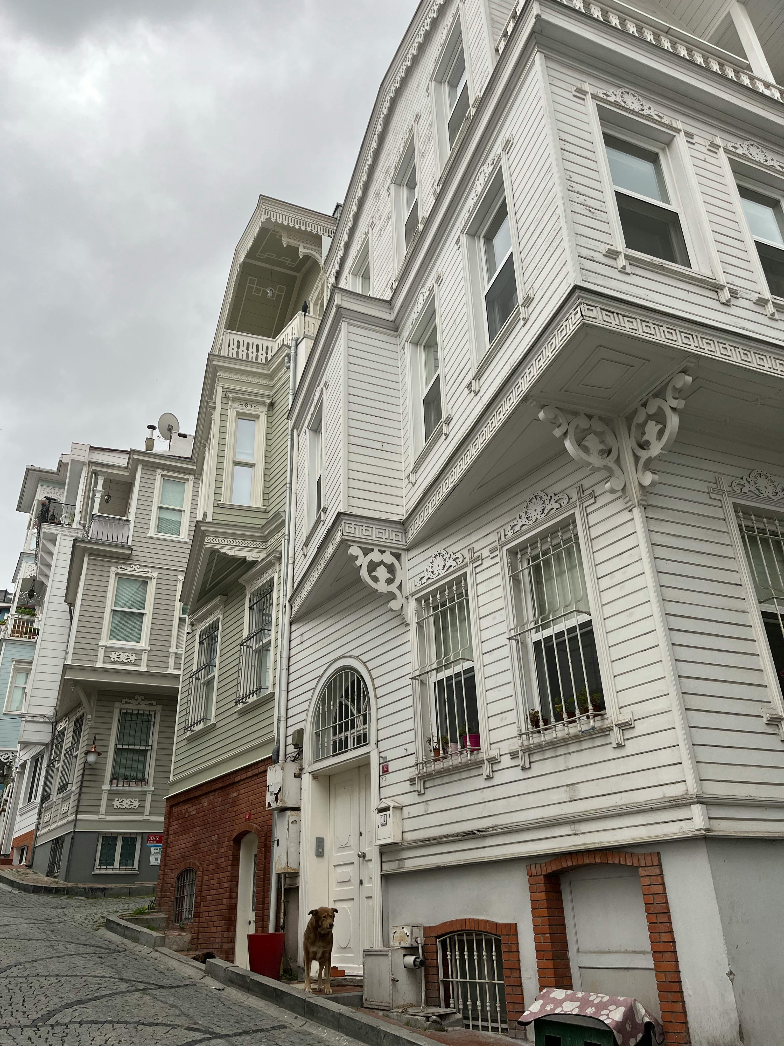 Facade of Typical Turkish Houses in City · Free Stock Photo