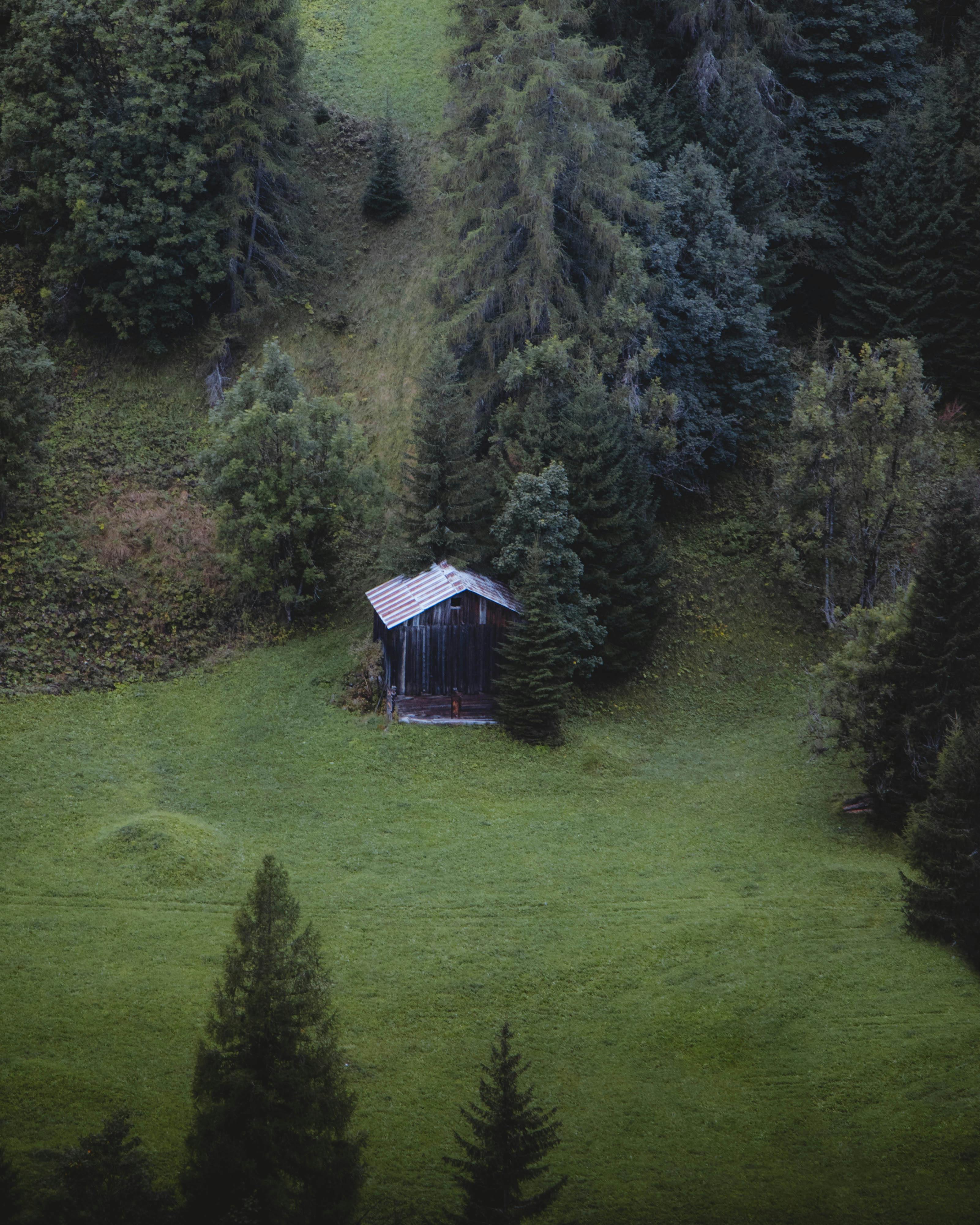 Hut and Trees on Slope · Free Stock Photo