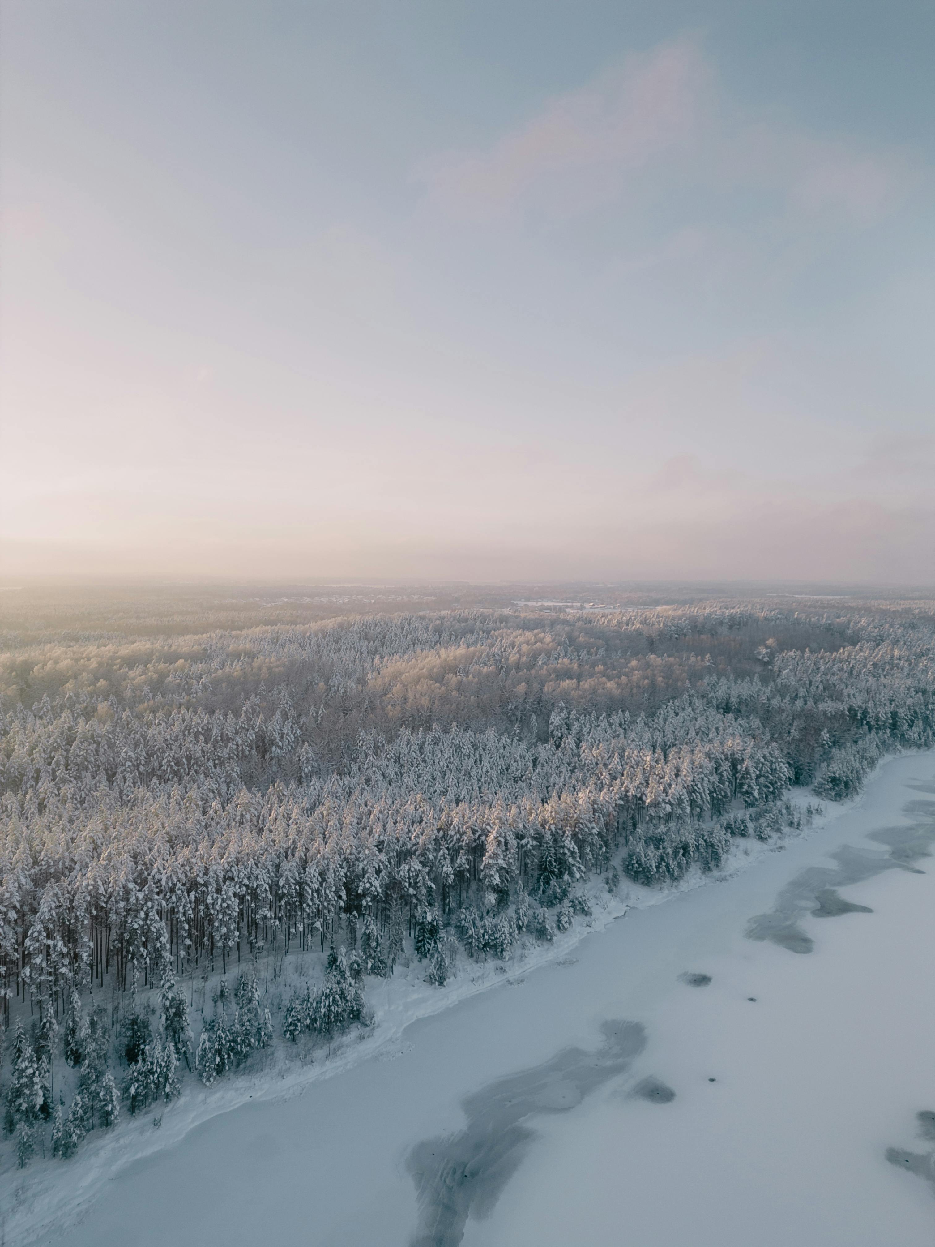 Birds Eye View of a Frozen Lake and a Forest in Winter snow · Free ...