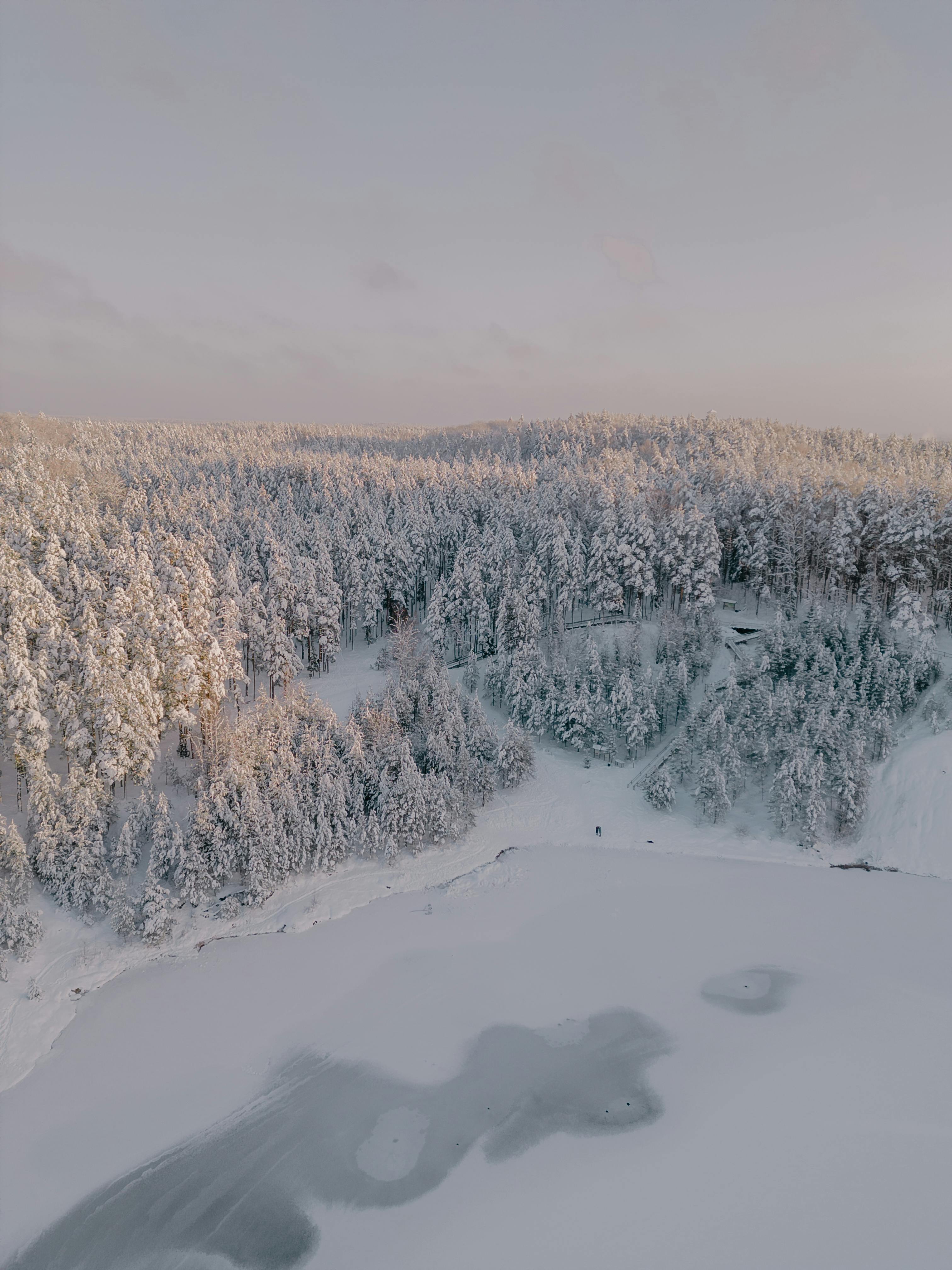 Aerial View of a Winter Landscape of a Forest and Frozen Lake · Free ...