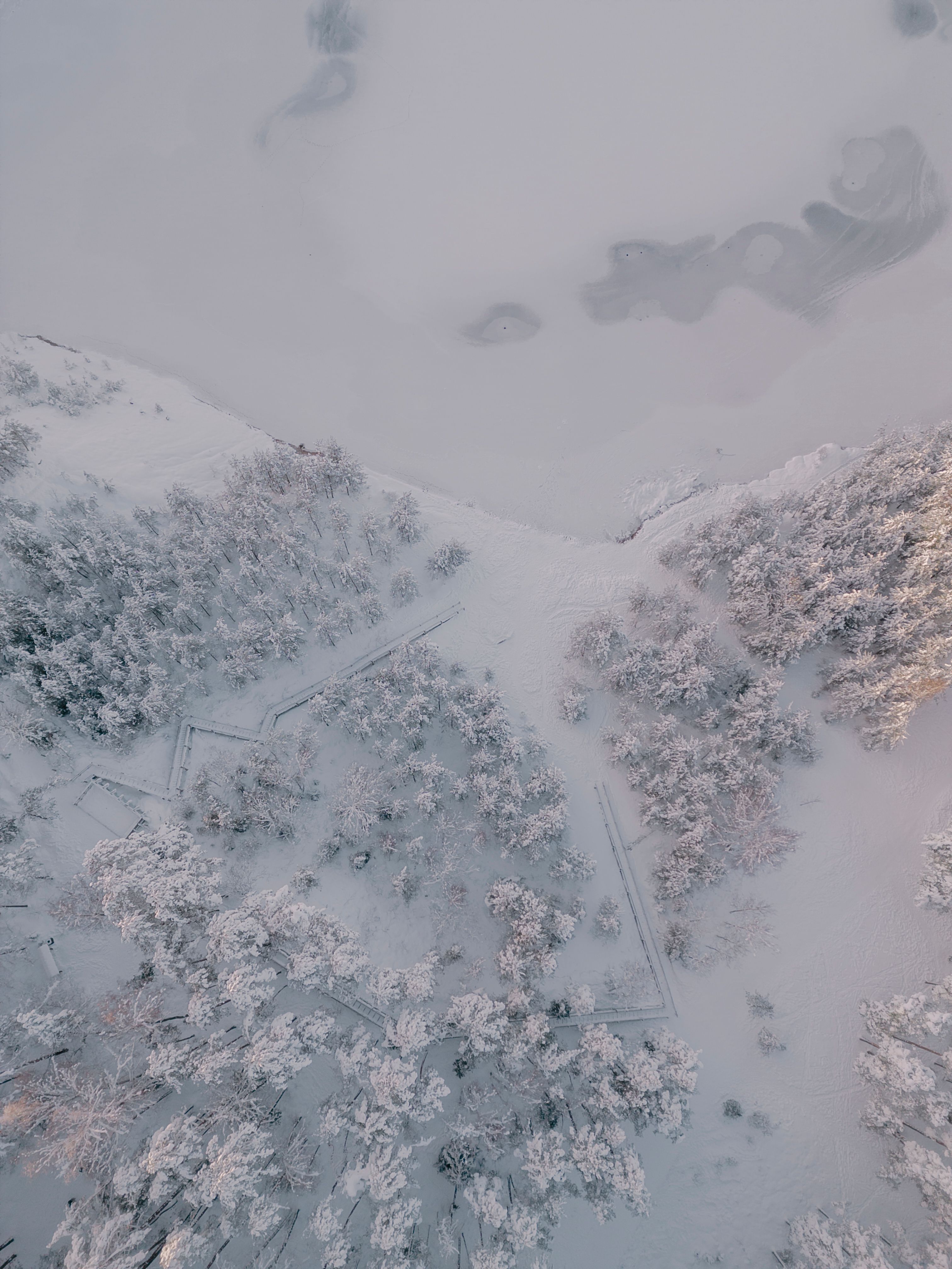 Top View of a Forest Covered in Snow and a Frozen Lake · Free Stock Photo