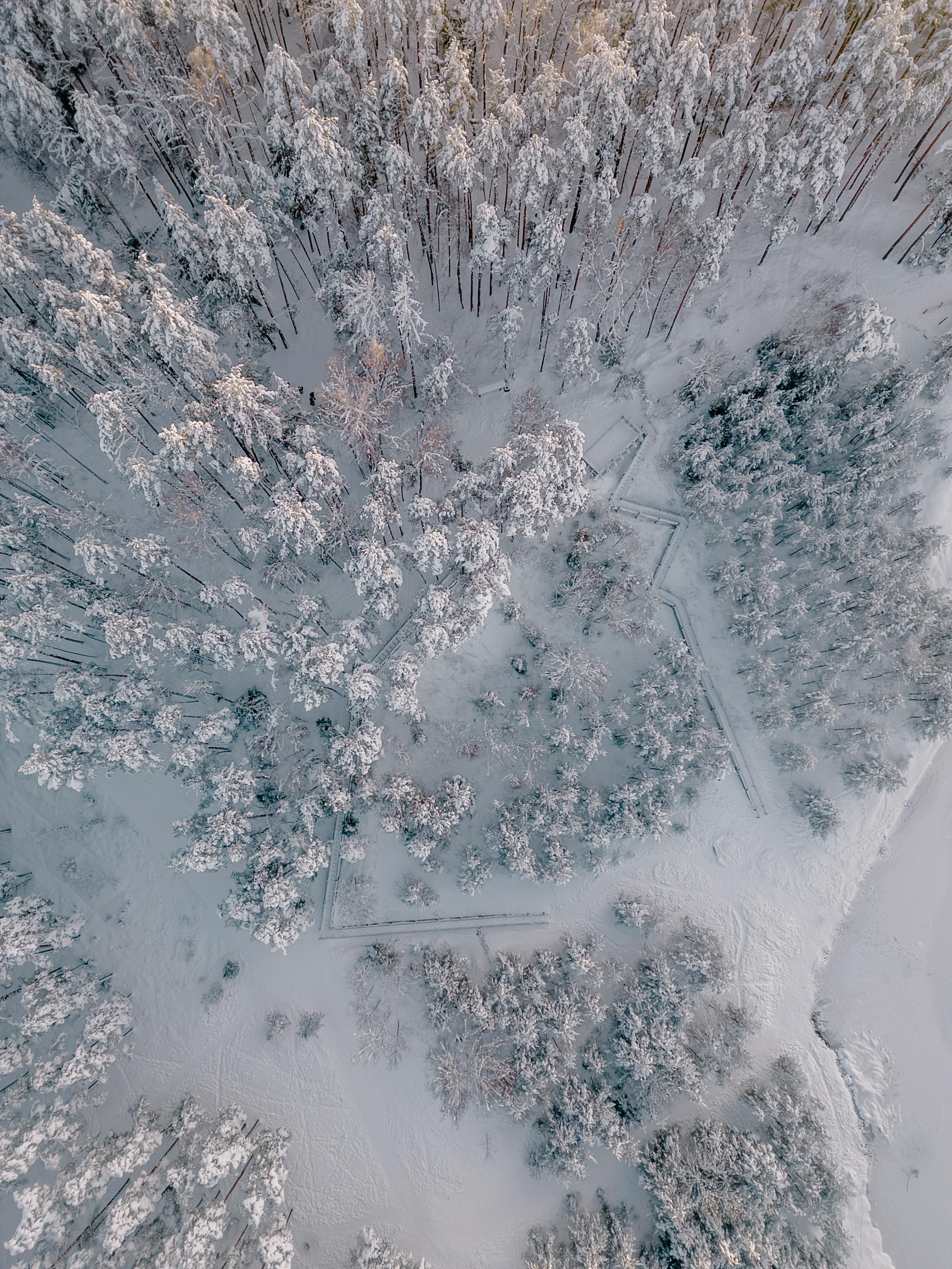 Bird's Eye View Photos, Download The BEST Free Bird's Eye View Stock ...