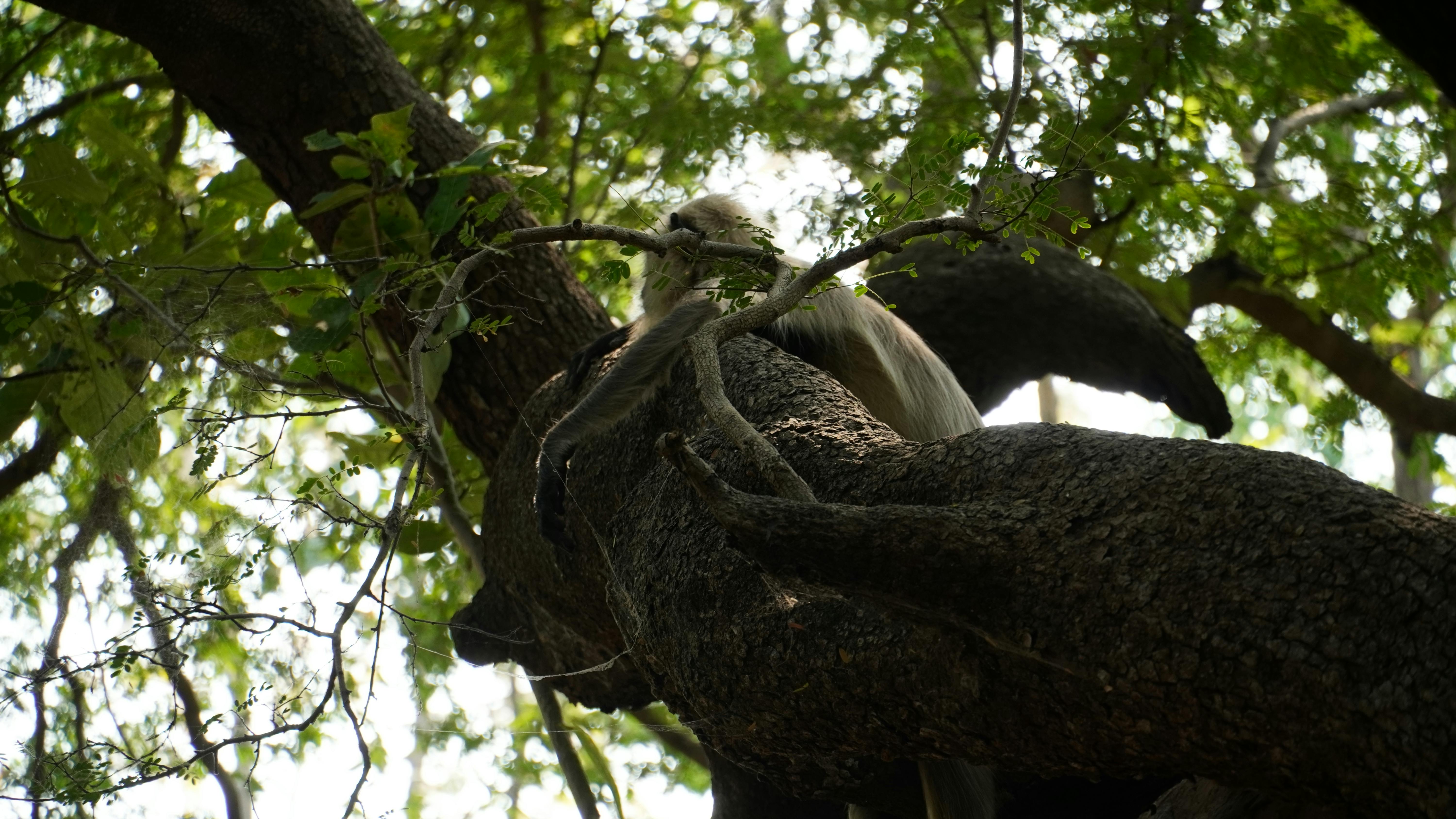 Arvind Aditya - Photography