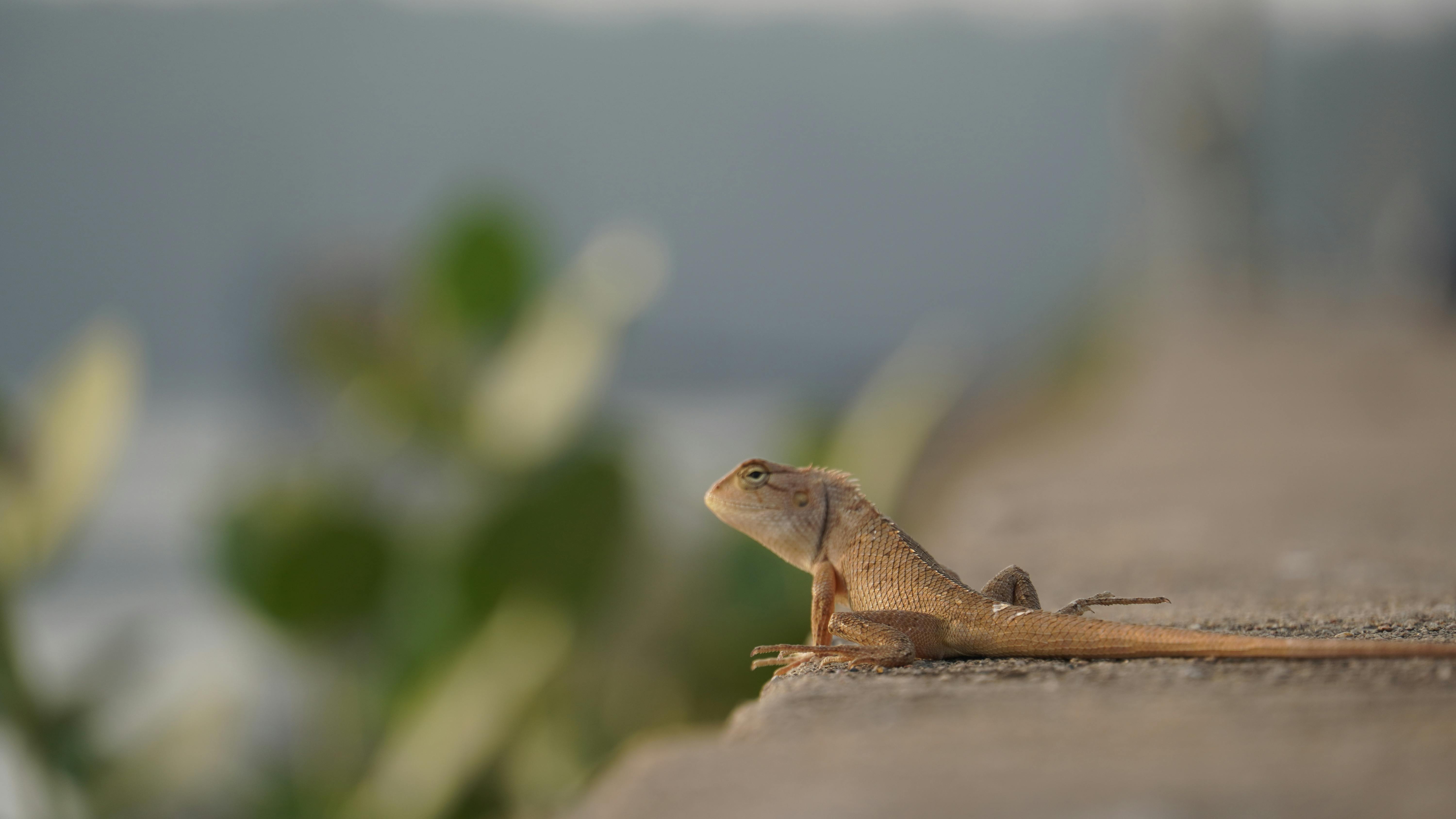 Arvind Aditya - Photography