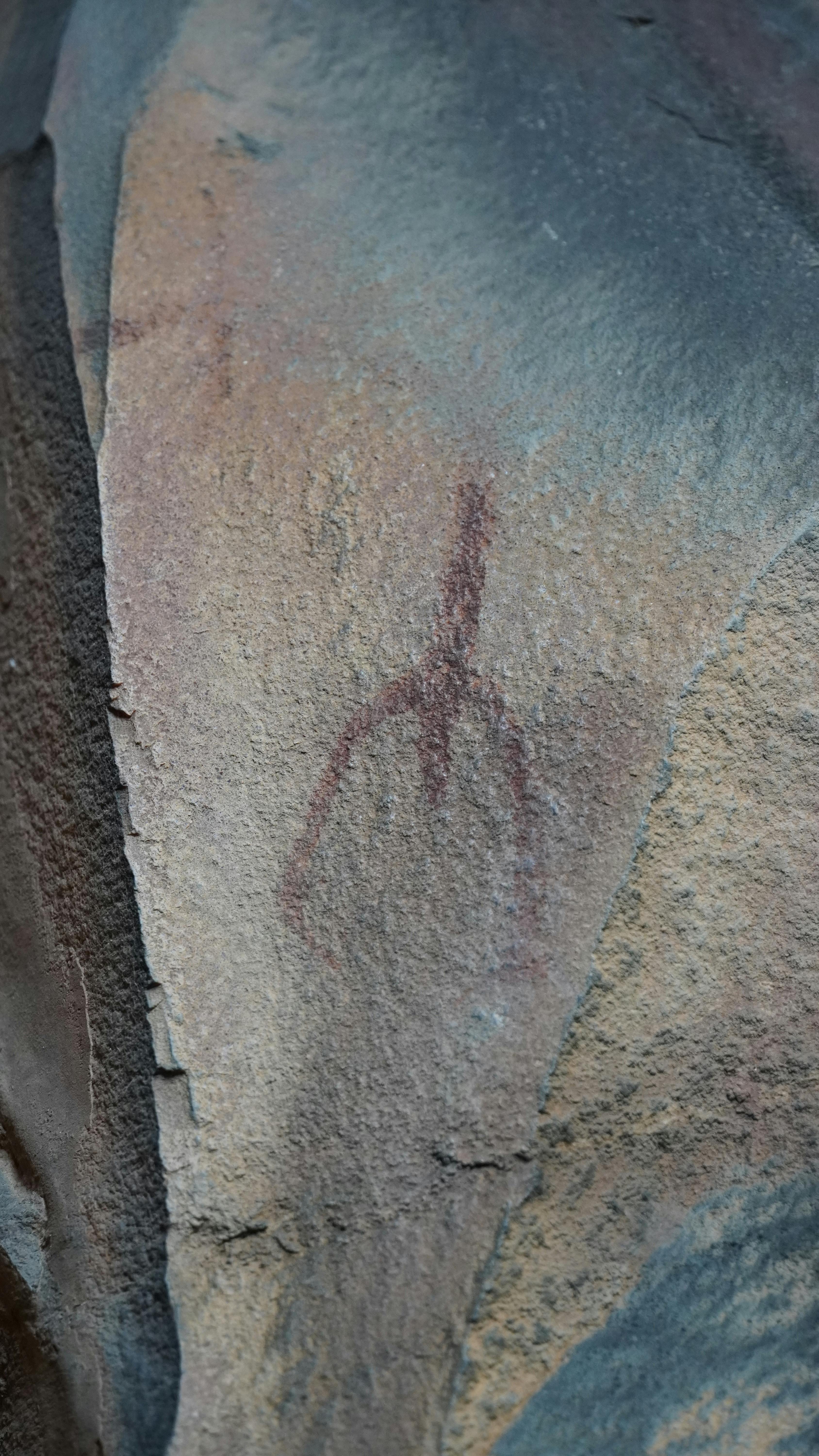 Arvind Aditya - Photography