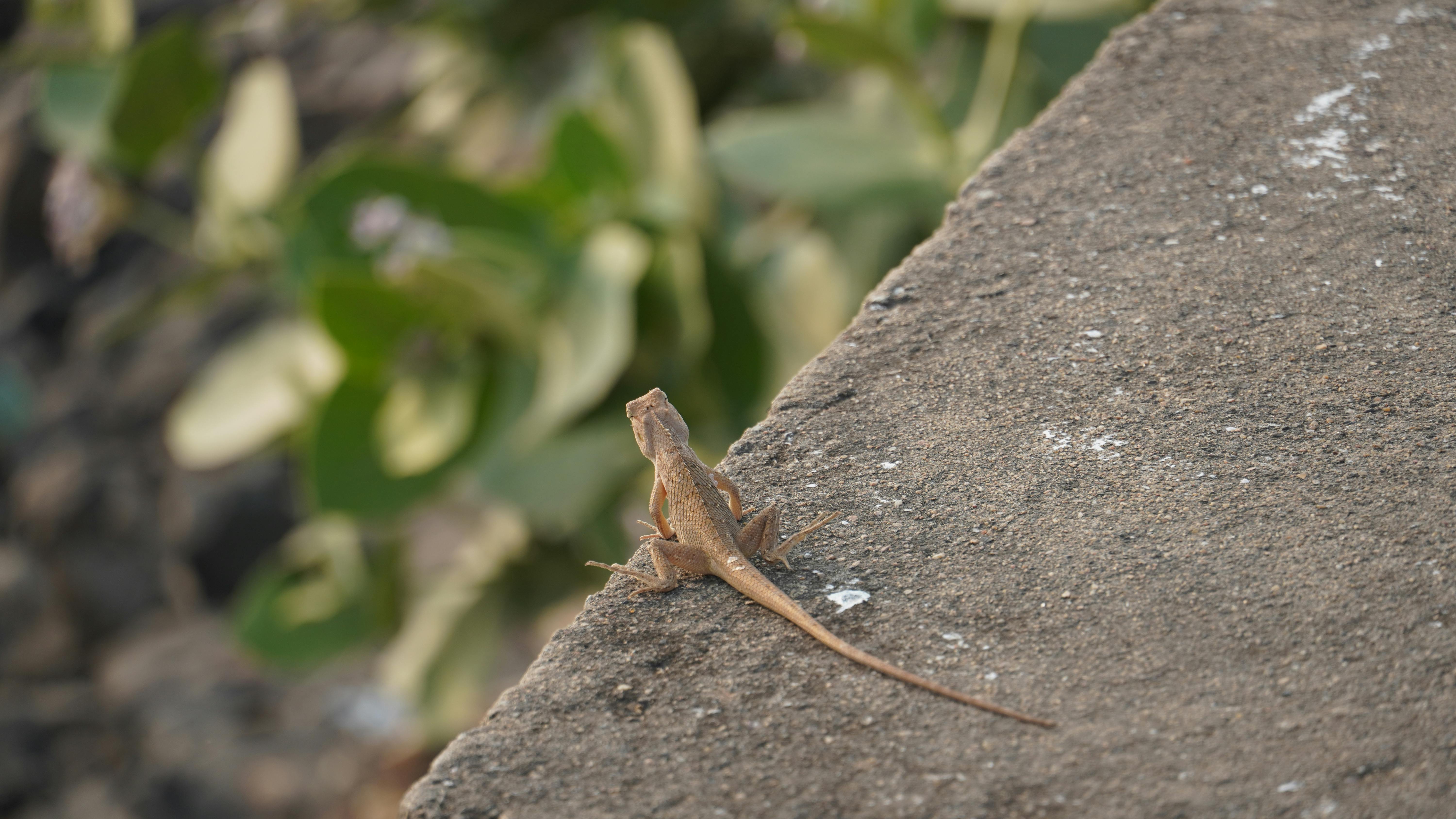 Arvind Aditya - Photography