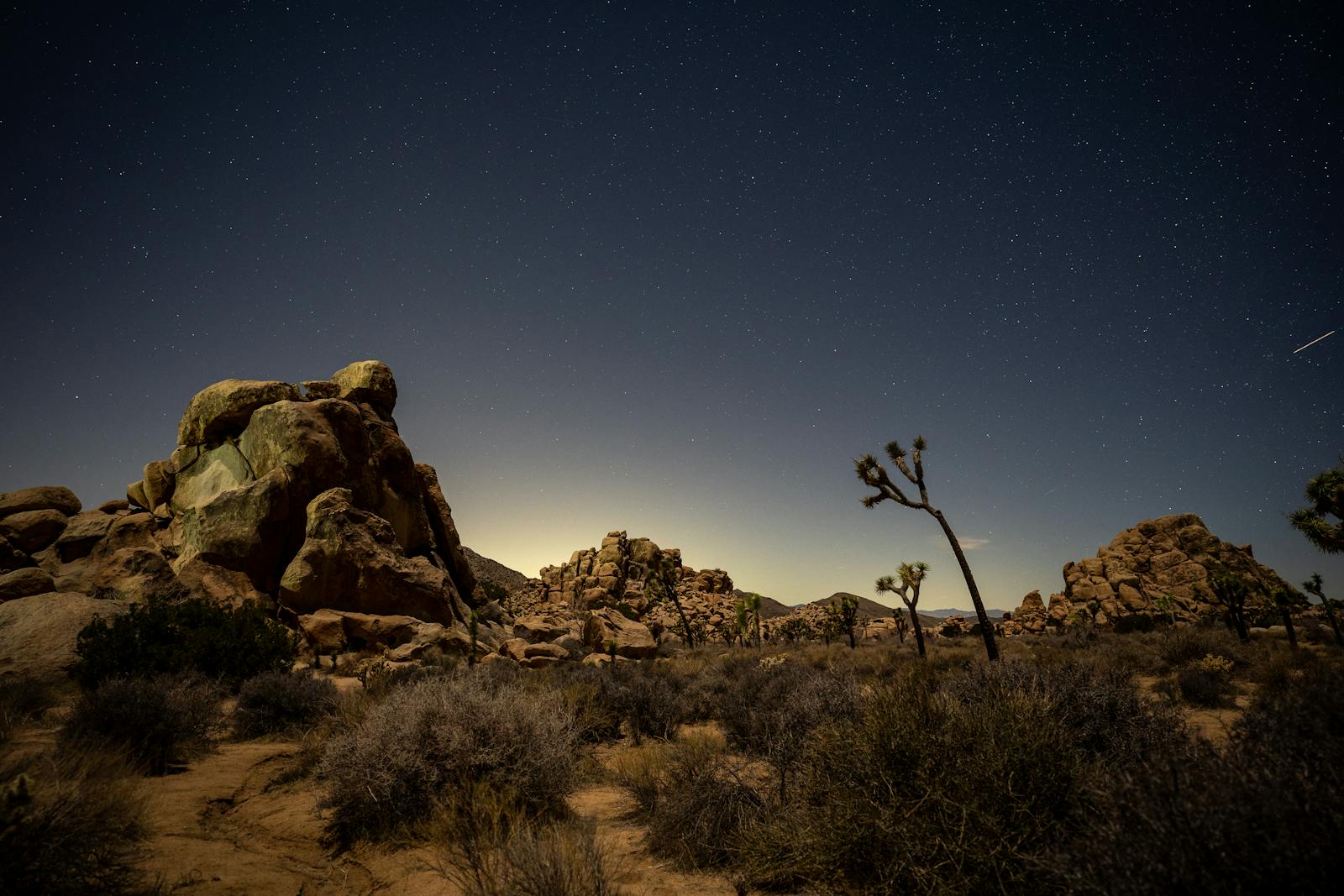 Joshua Tree National Park Photos, Download The BEST Free Joshua Tree ...