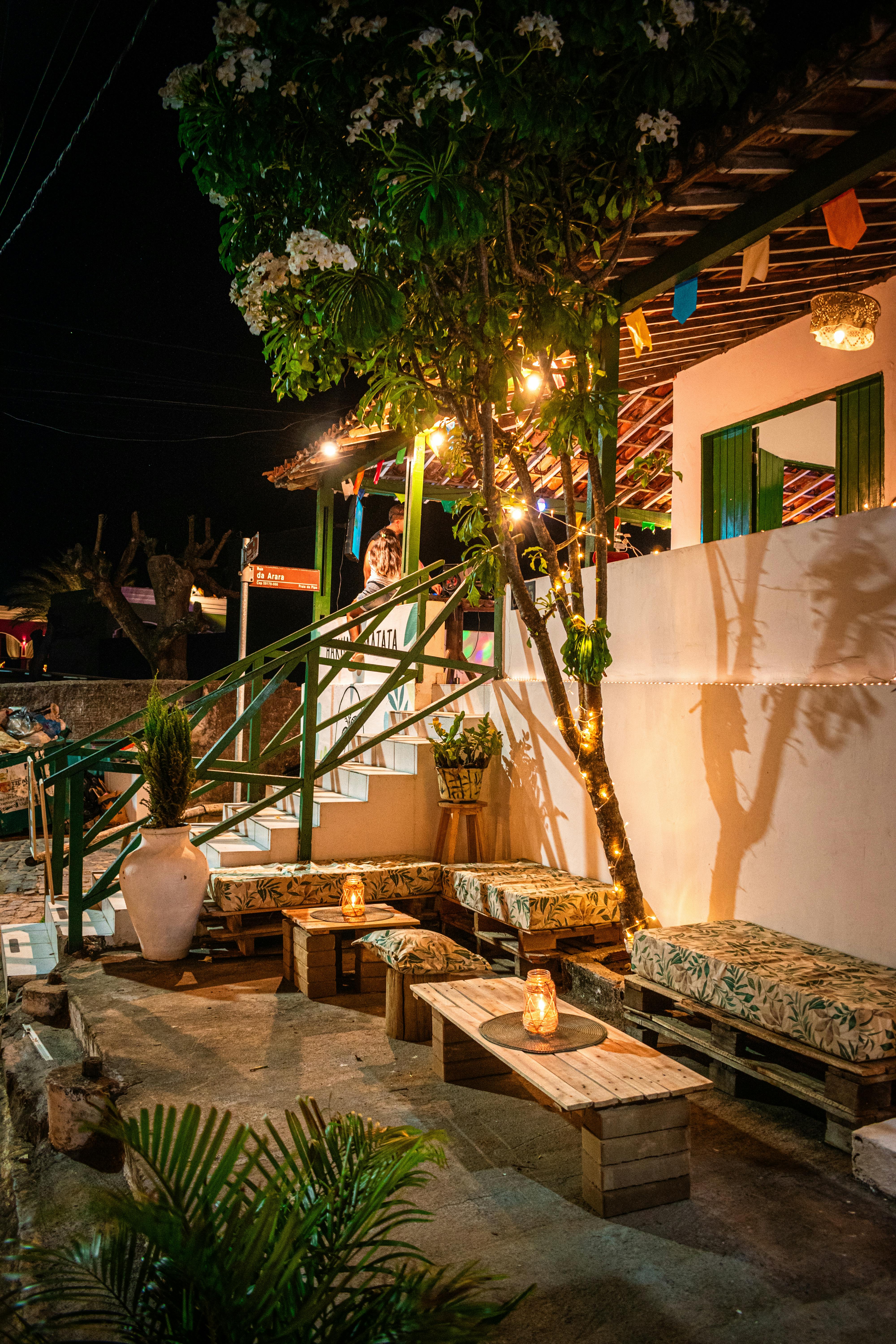 Pipa Tree Photos, Download The BEST Free Pipa Tree Stock Photos & HD Images