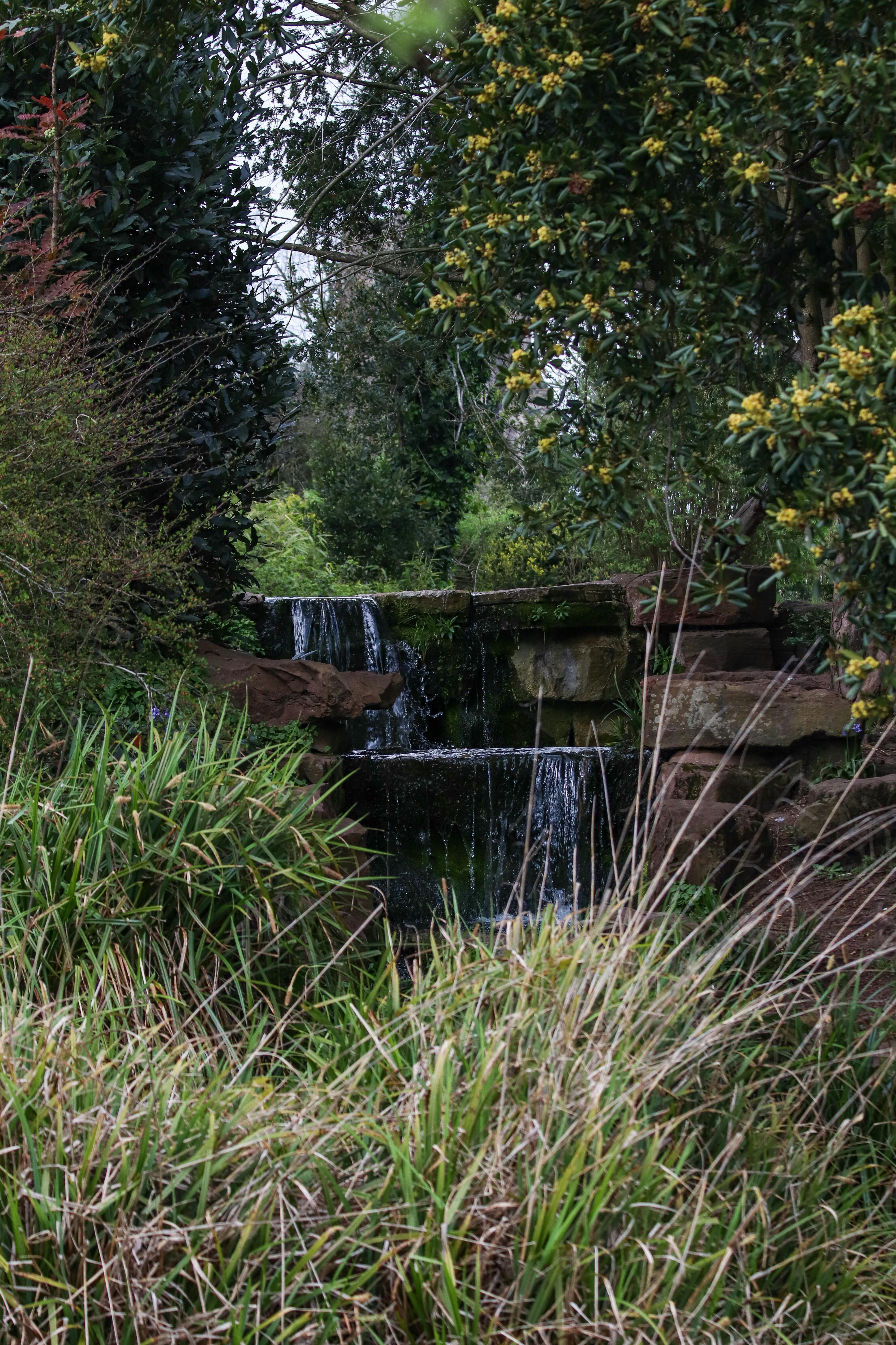 Water Falling Over the Rocks · Free Stock Photo