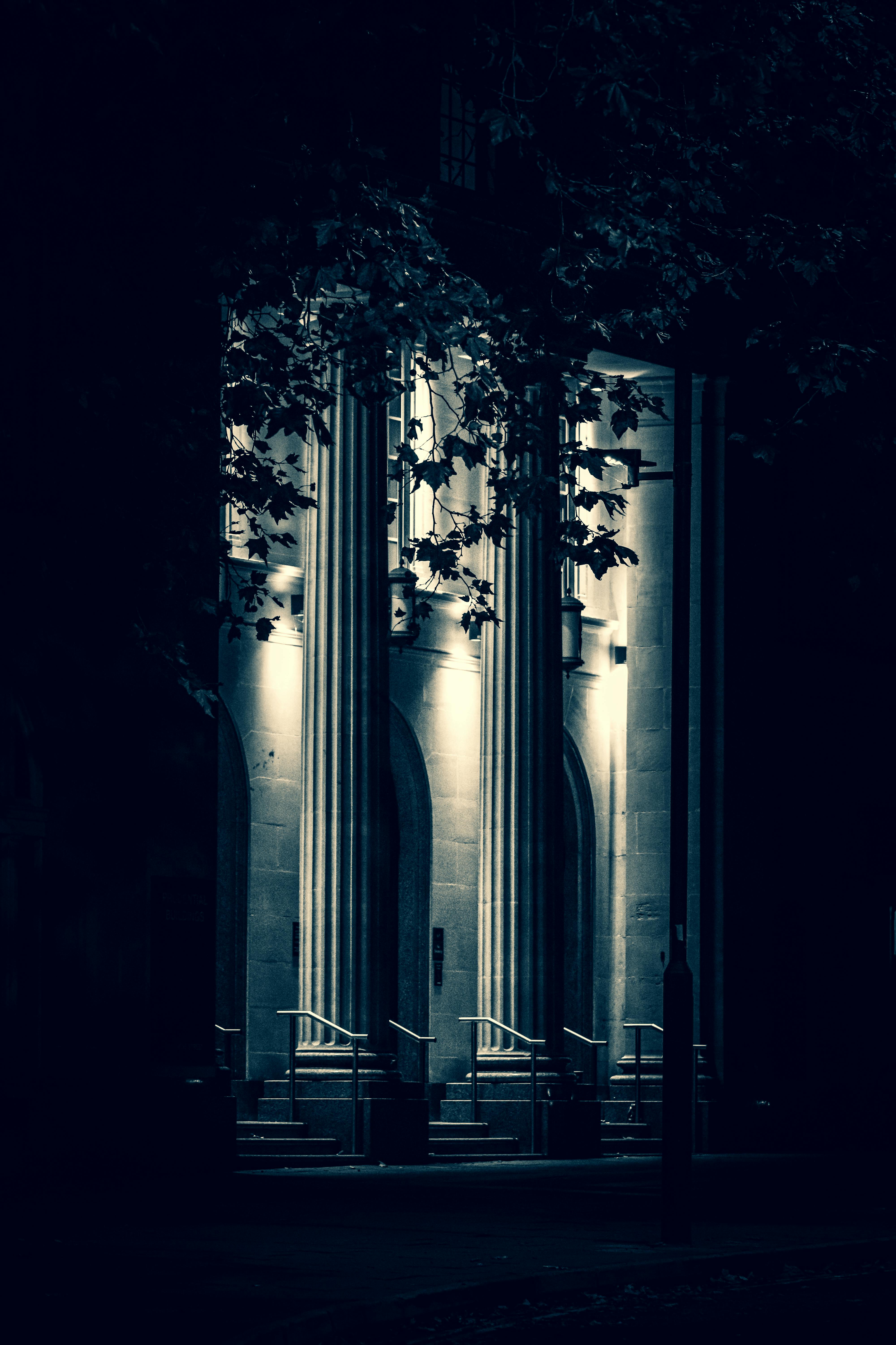 Illuminated Columns of a Building · Free Stock Photo