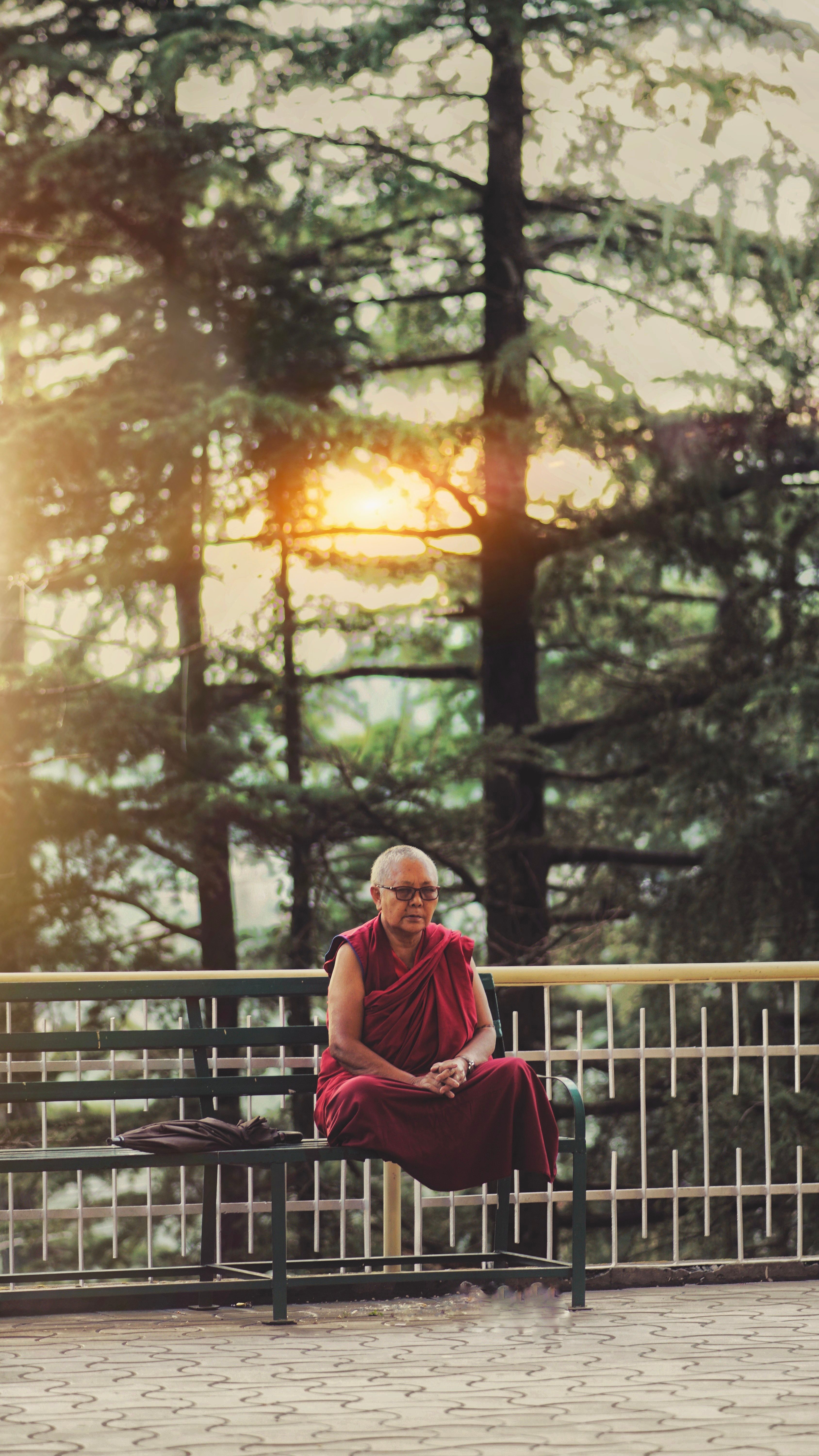 A Buddhist Monk Sitting on a Bench · Free Stock Photo
