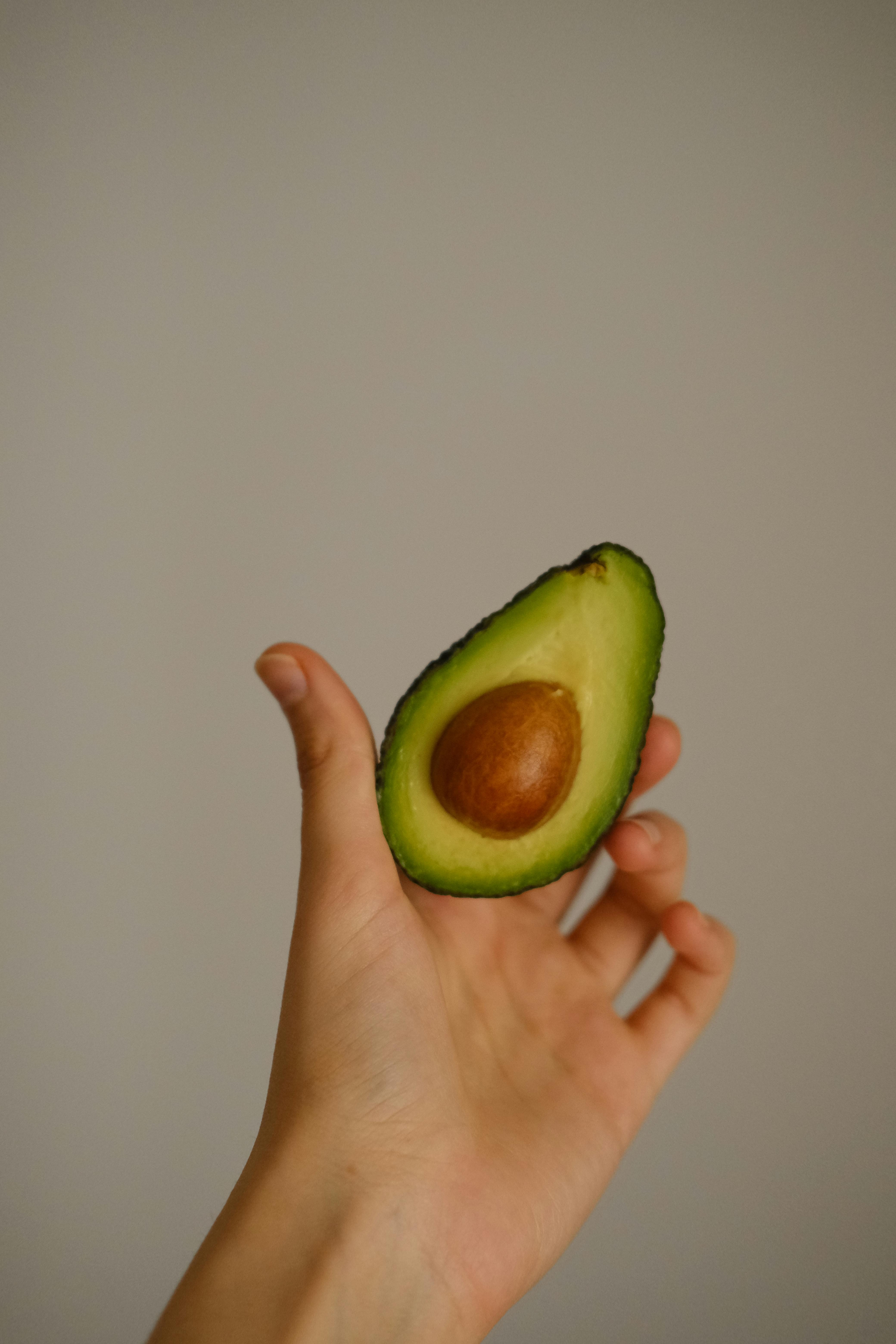 Food Iogo Photos, Download The BEST Free Food Iogo Stock Photos & HD Images