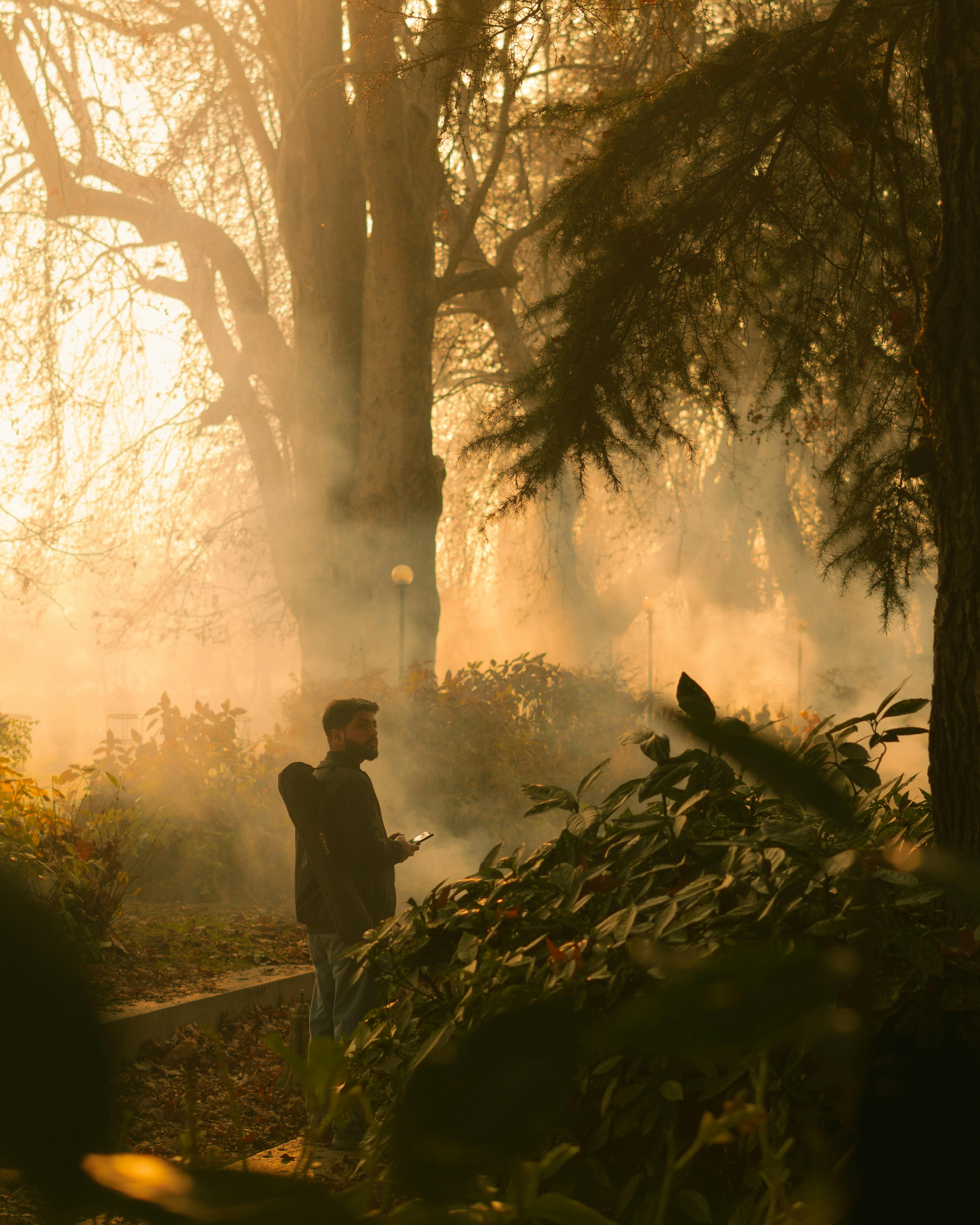 Man Standing among Trees in Forest at Sunset · Free Stock Photo