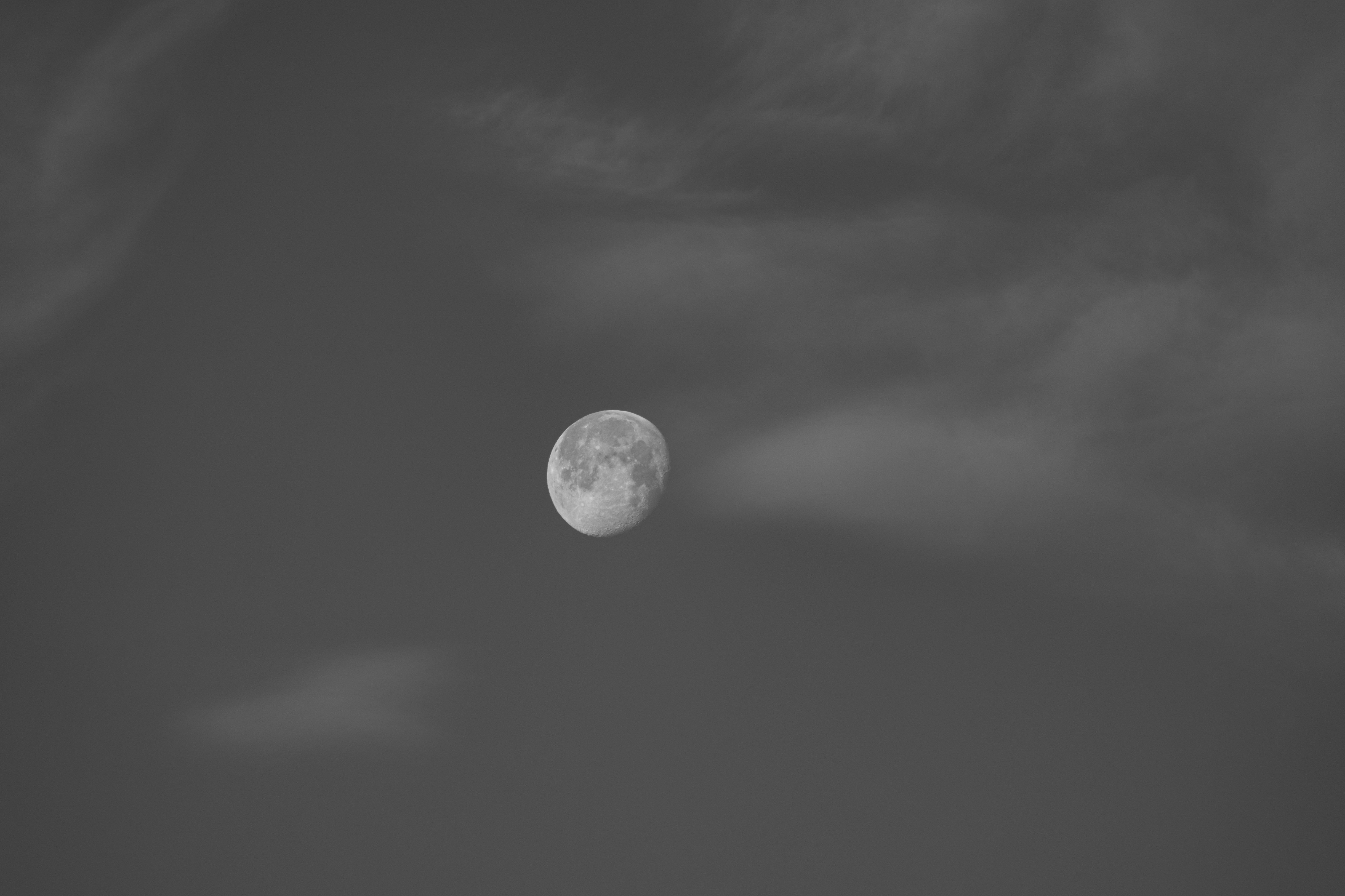 Grayscale Photo of a Moon in the Sky · Free Stock Photo