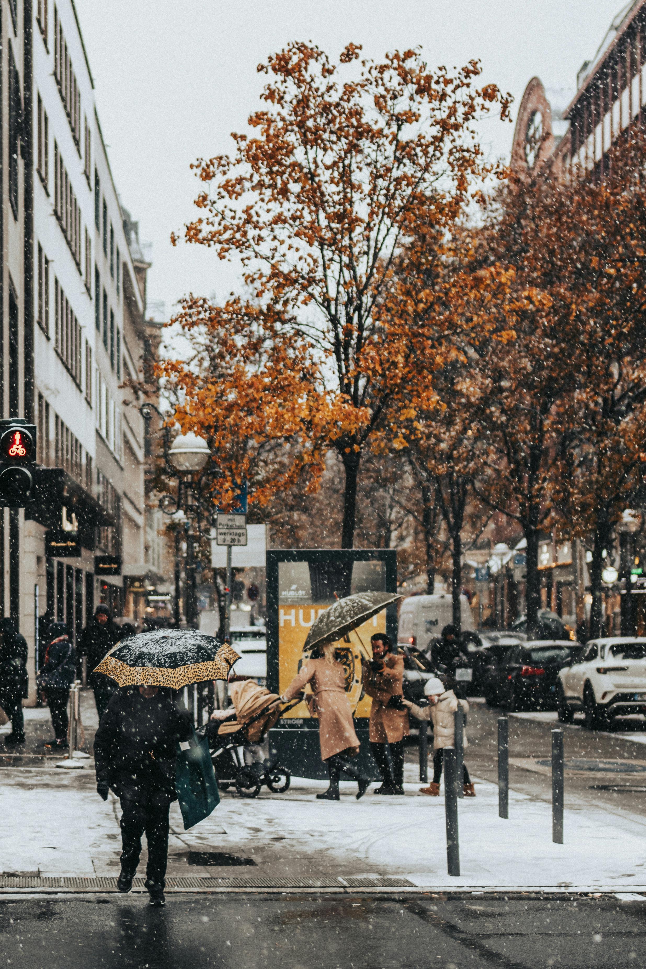 Snow Falling on People on City Street · Free Stock Photo