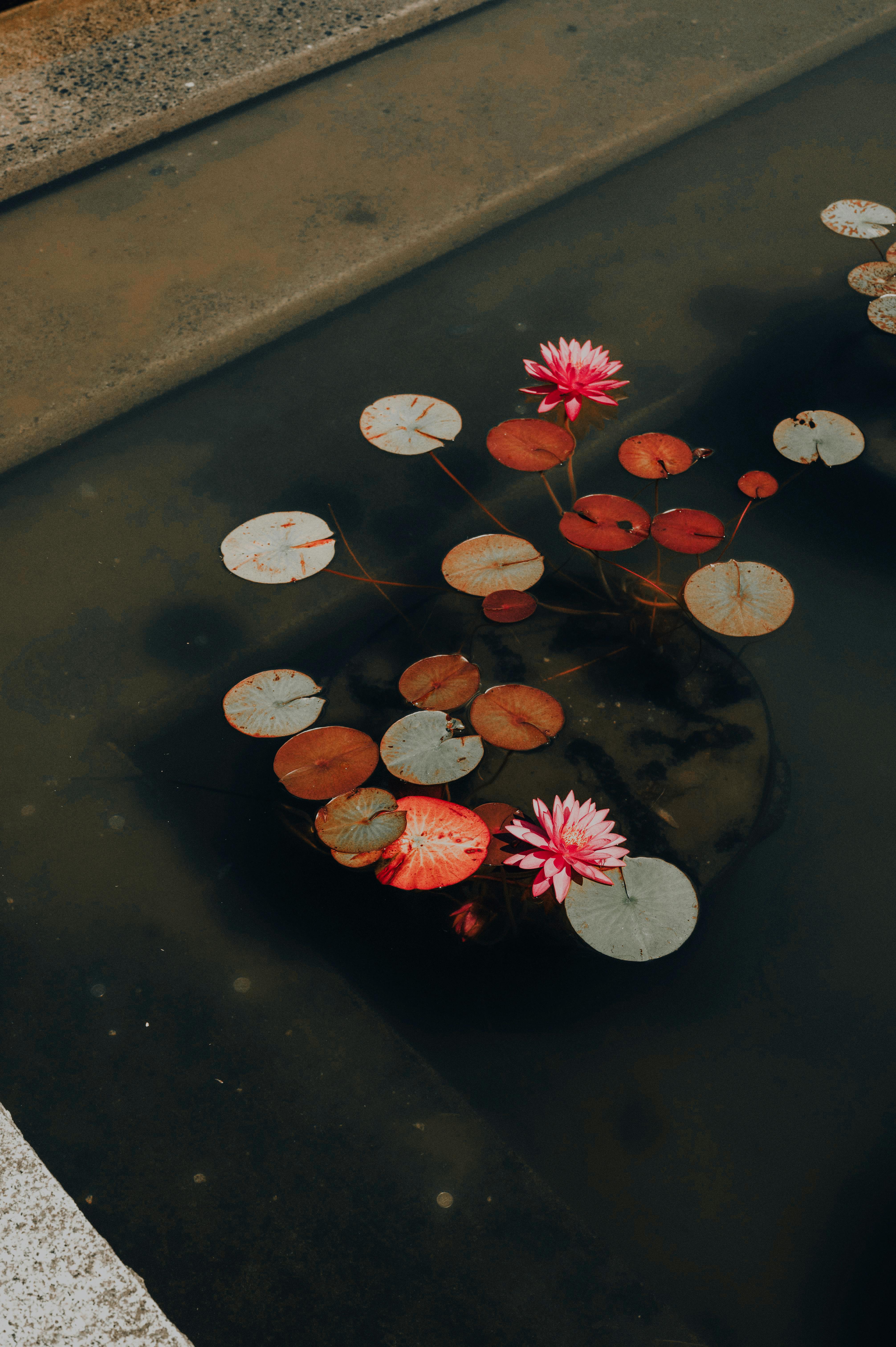 Urban Traveller – Fotografia