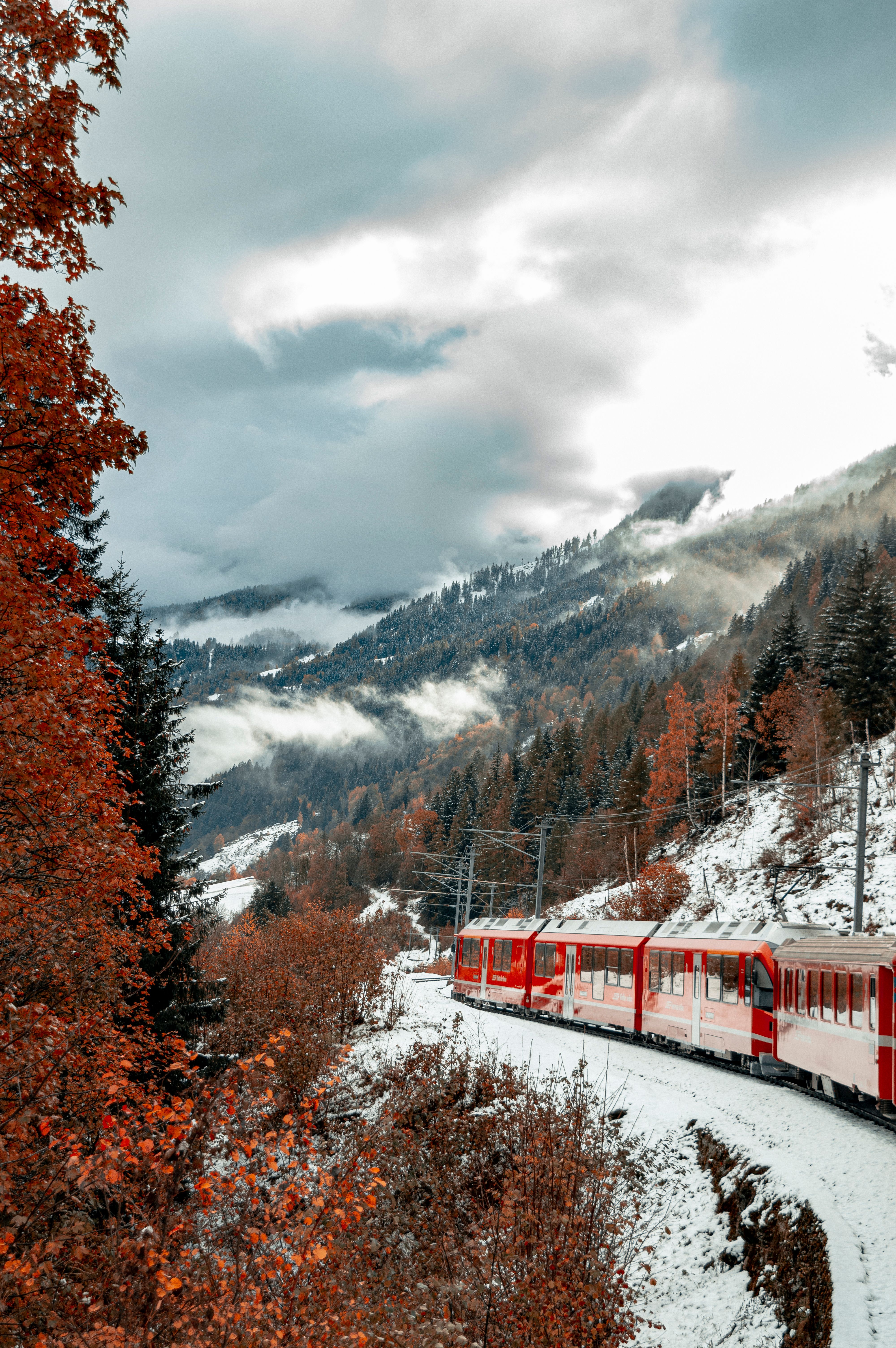 Red Train Near Trees · Free Stock Photo