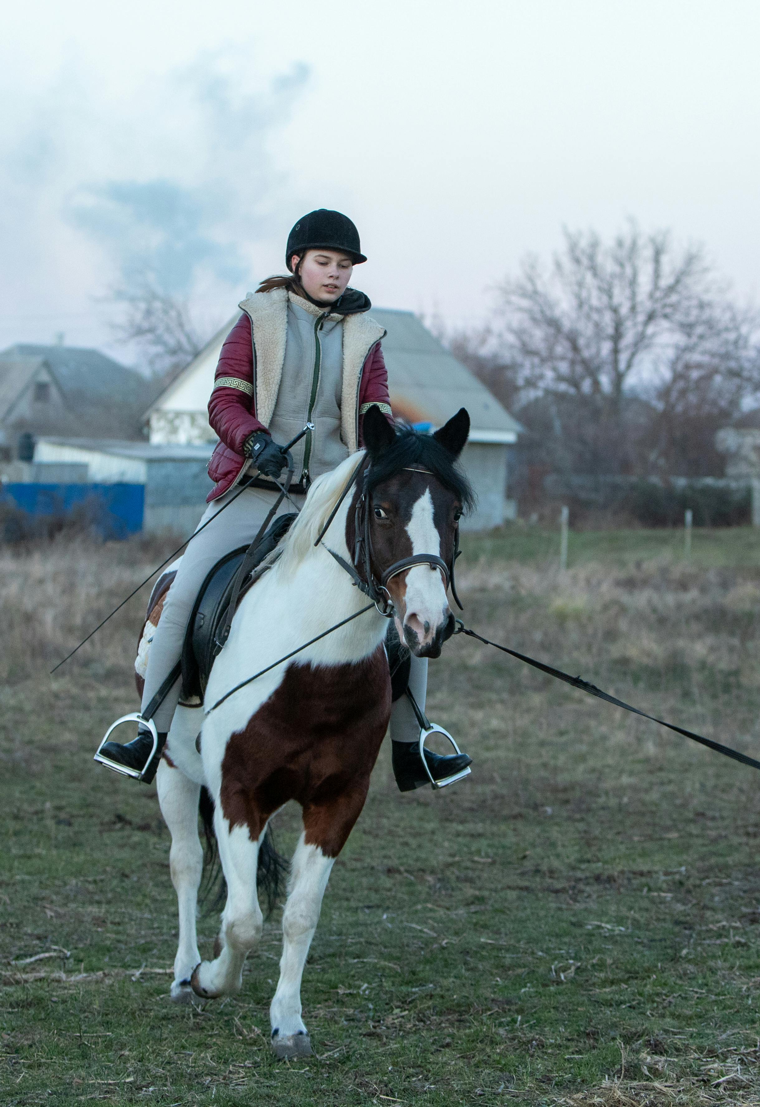 Young Woman in Helmet Riding Horse · Free Stock Photo
