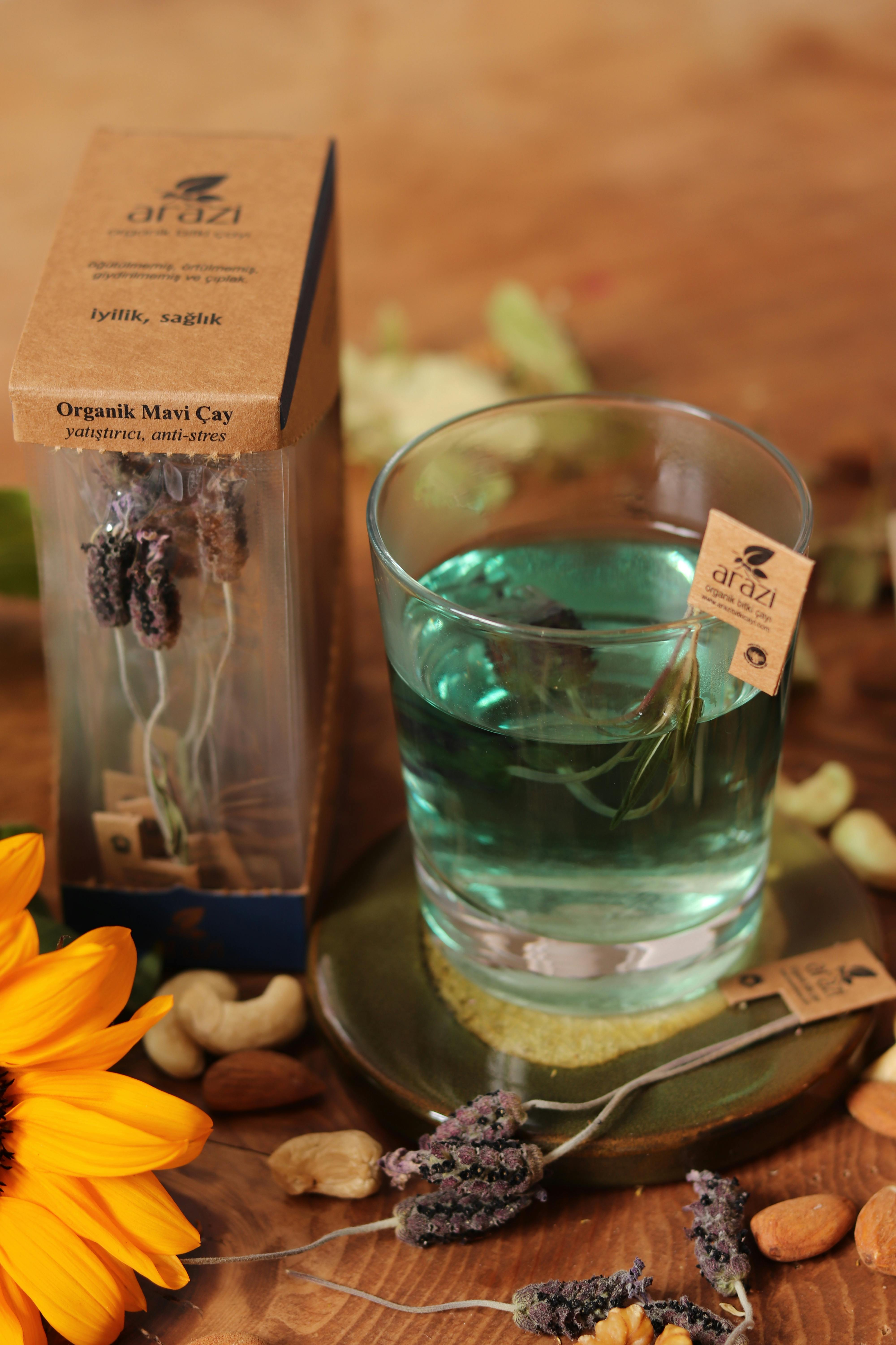 Herbs in a Glass · Free Stock Photo