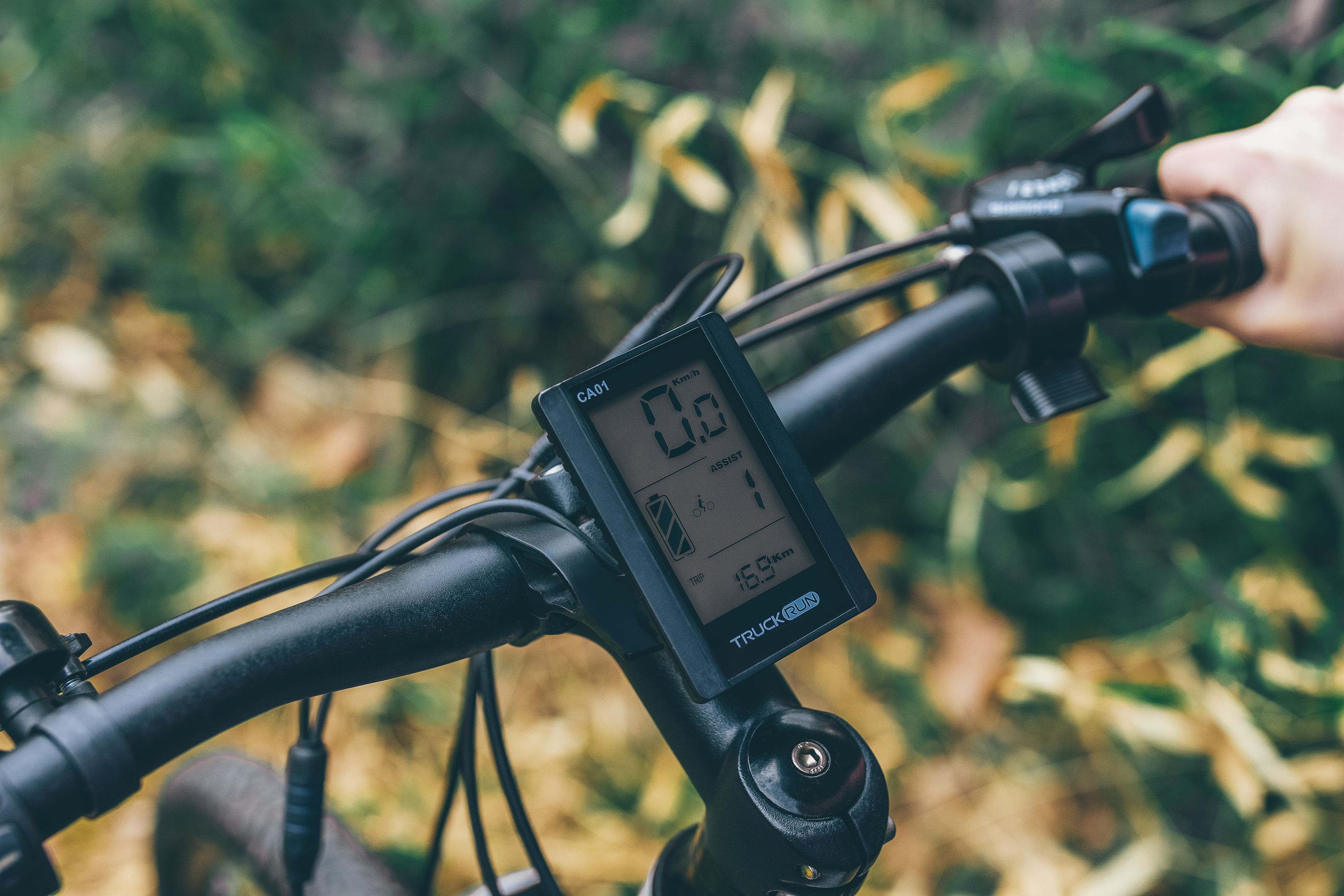 Autom Forest Trail Photos, Download The BEST Free Autom Forest Trail ...